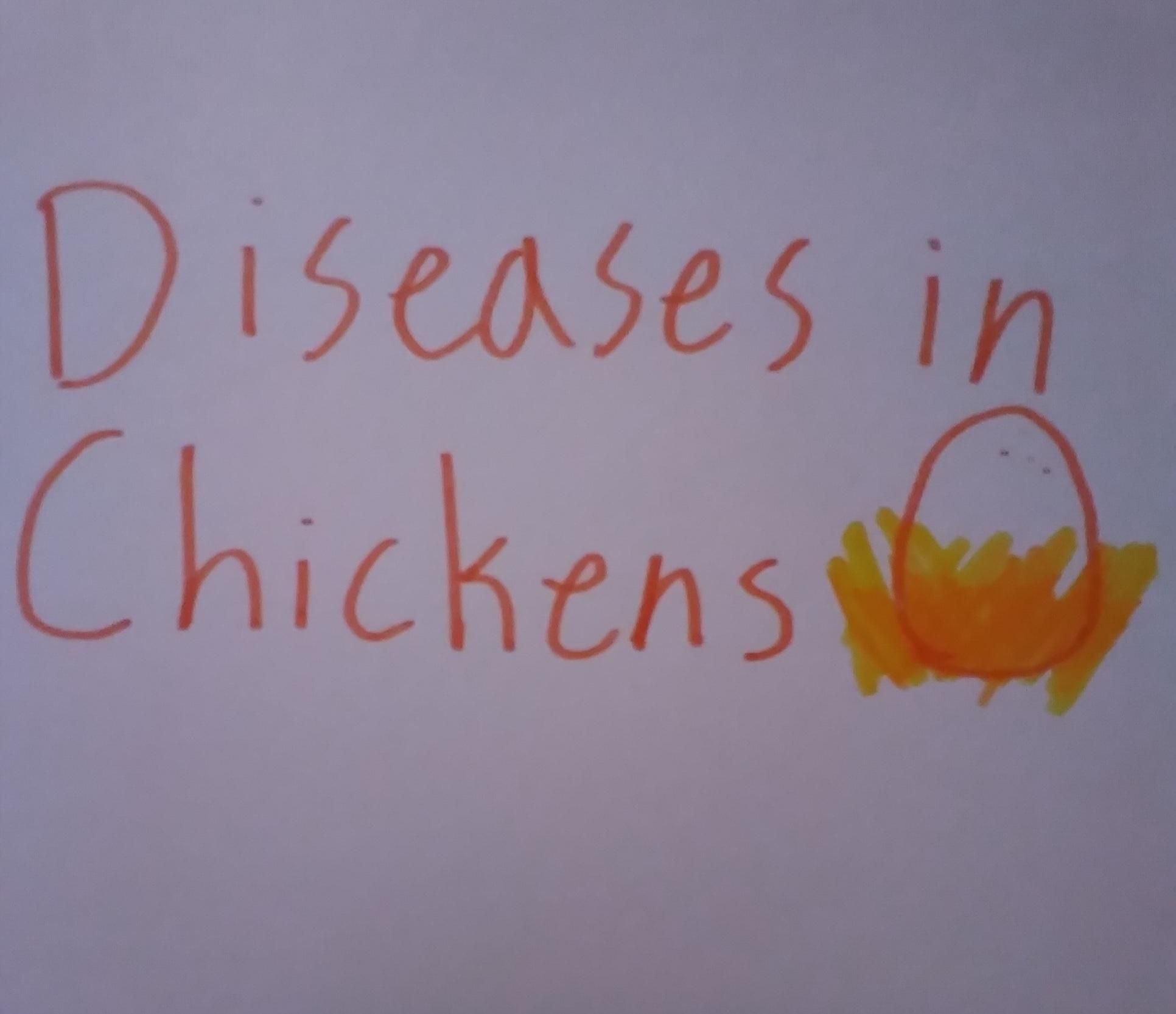 6 Common Diseases in Chickens : 6 Steps - Instructables