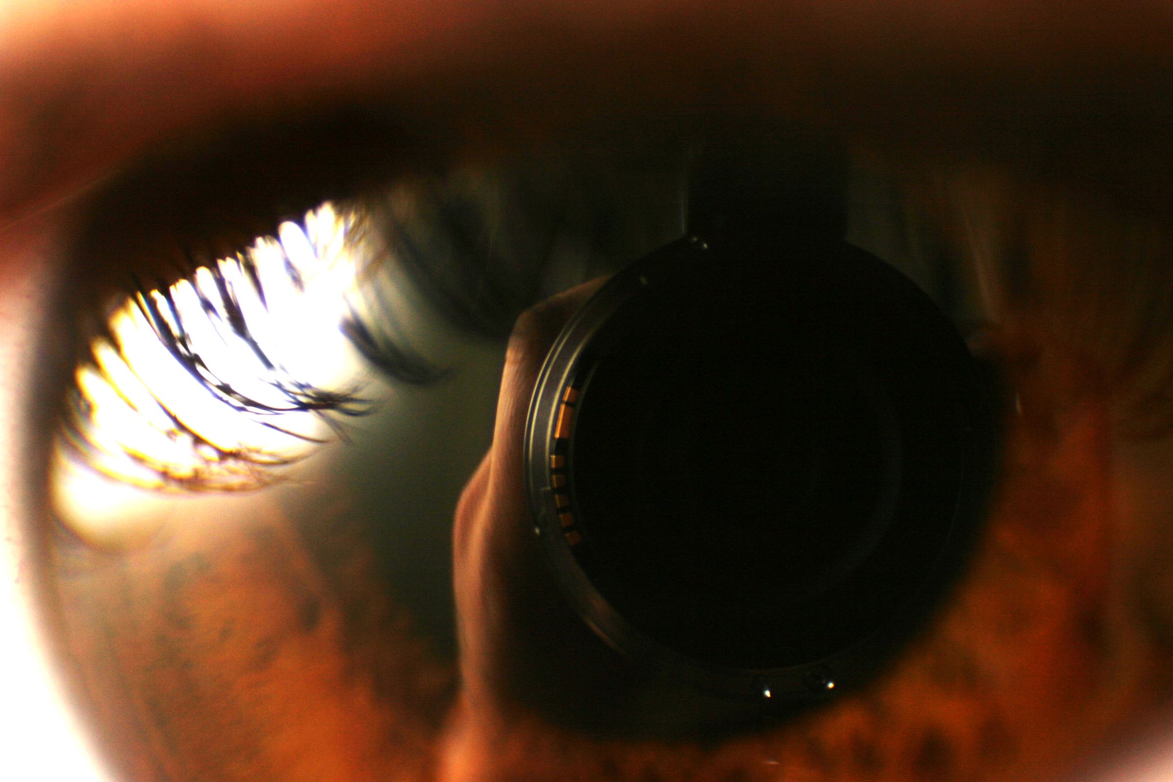 Reverse Lens Macro Photography : 4 Steps (with Pictures) - Instructables