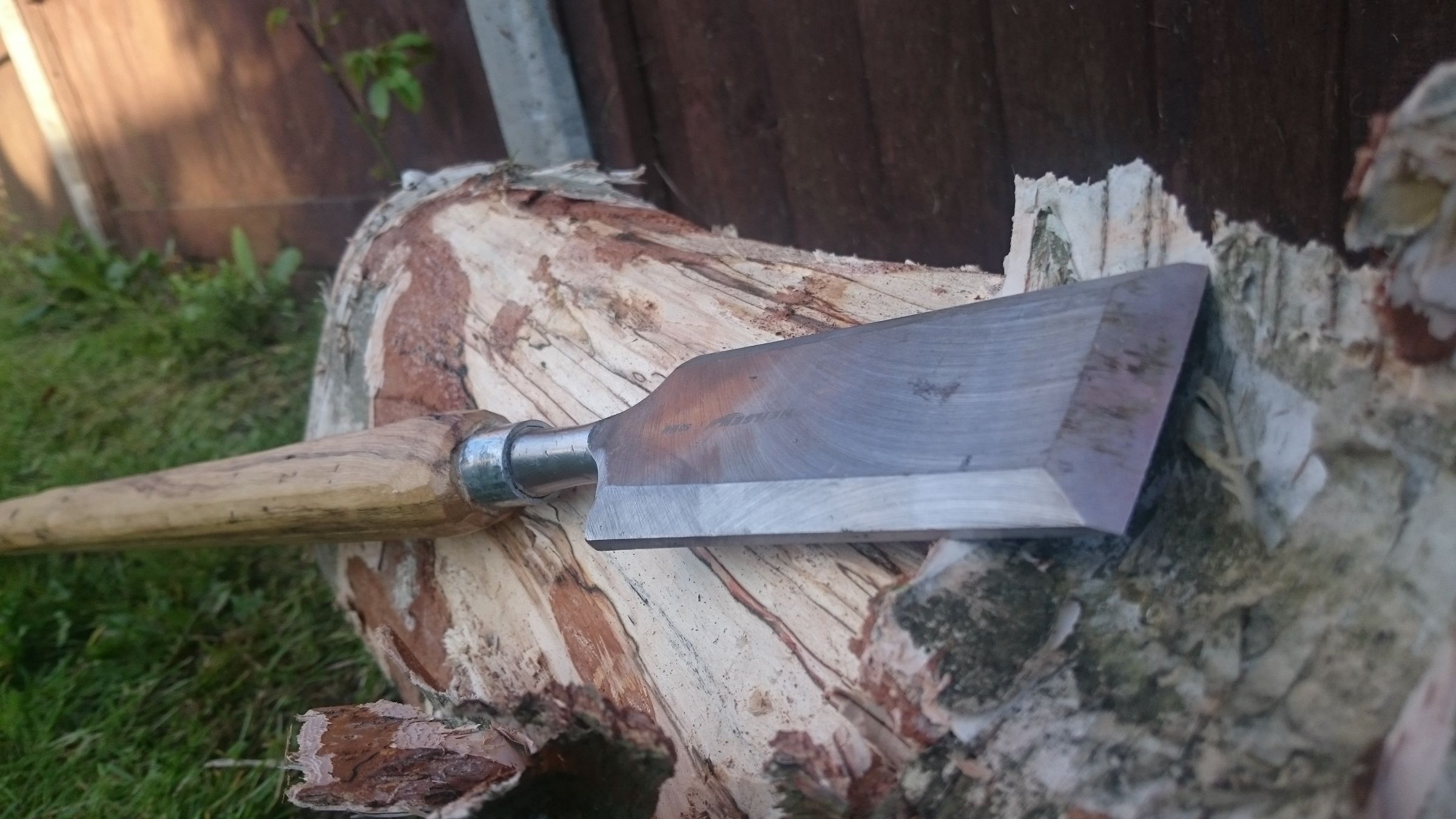 Bark Scraper From a Cheap Chisel : 6 Steps (with Pictures) - Instructables