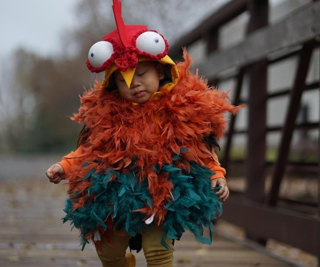 How to Make a Rooster Costume : 8 Steps (with Pictures) - Instructables