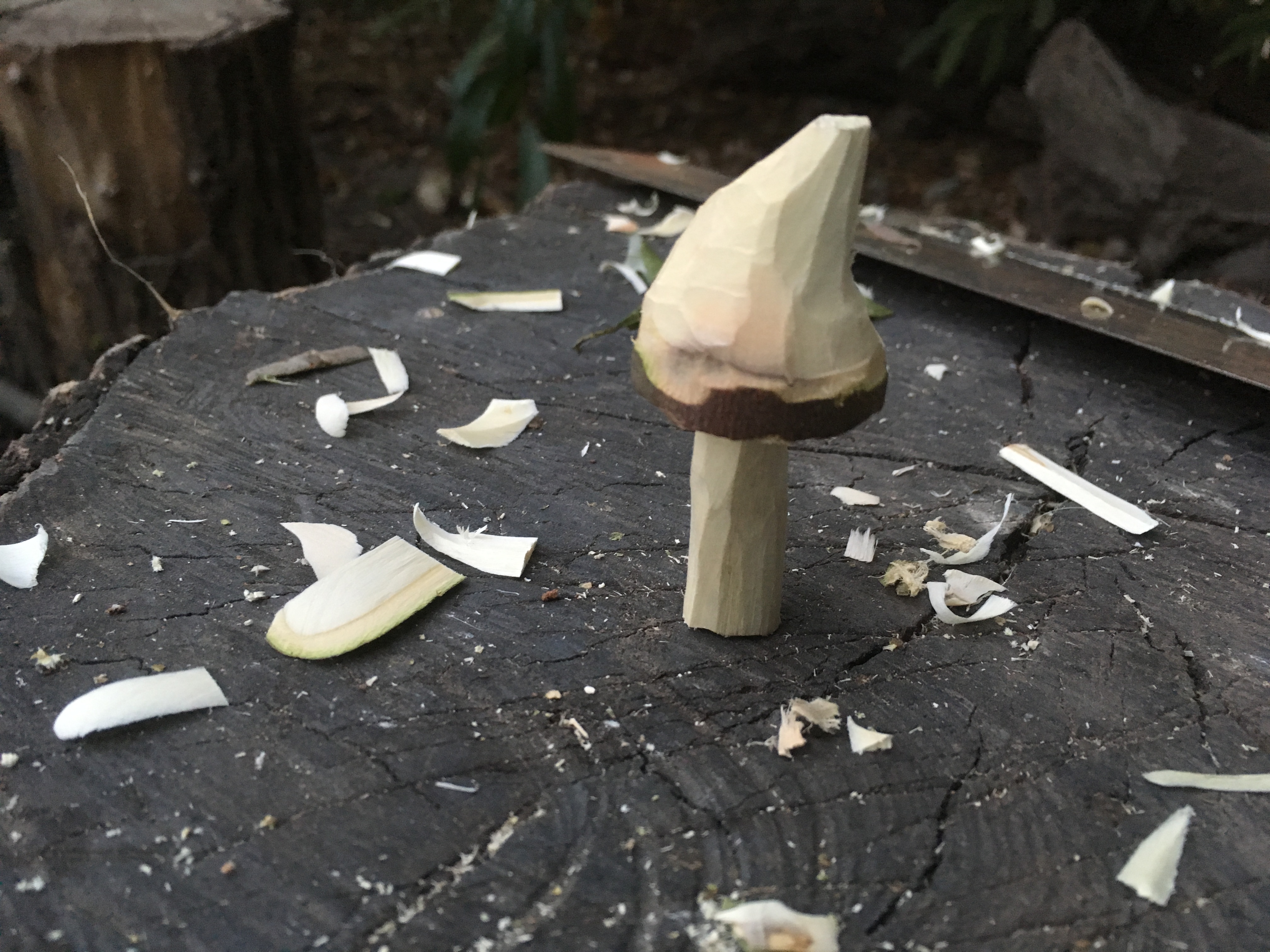 5 Super-easy Branch Carving Projects : 10 Steps (with Pictures ...