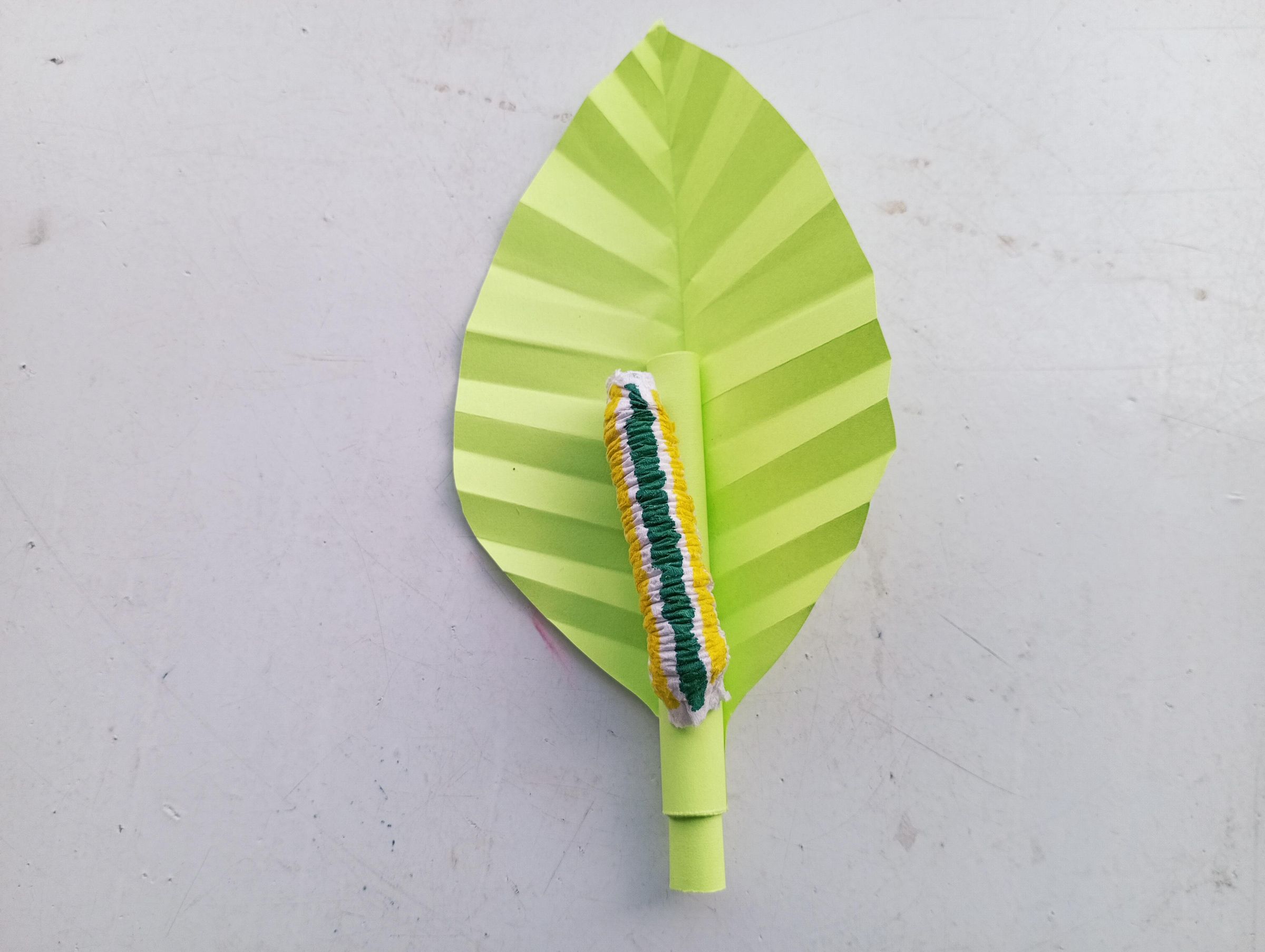 Super Simple DIY Fun Paper Wriggling Caterpillar. : 10 Steps (with ...