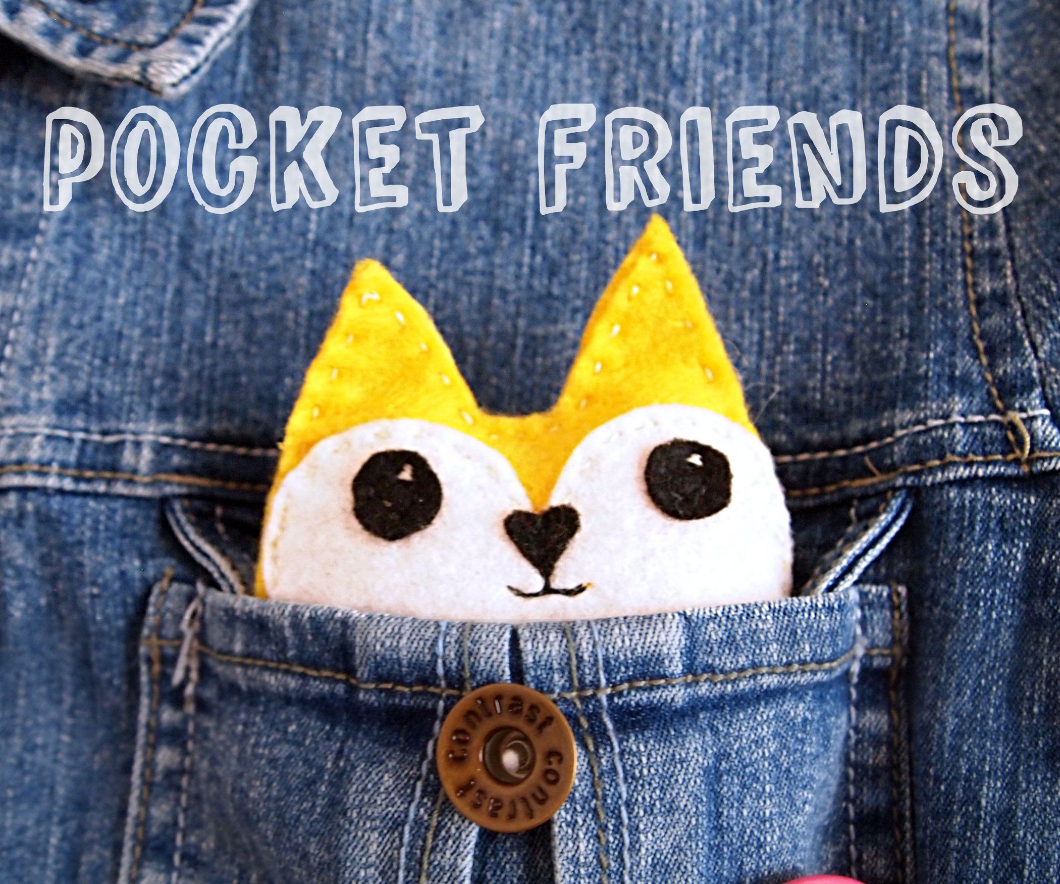 Pocket Friends : 8 Steps (with Pictures) - Instructables