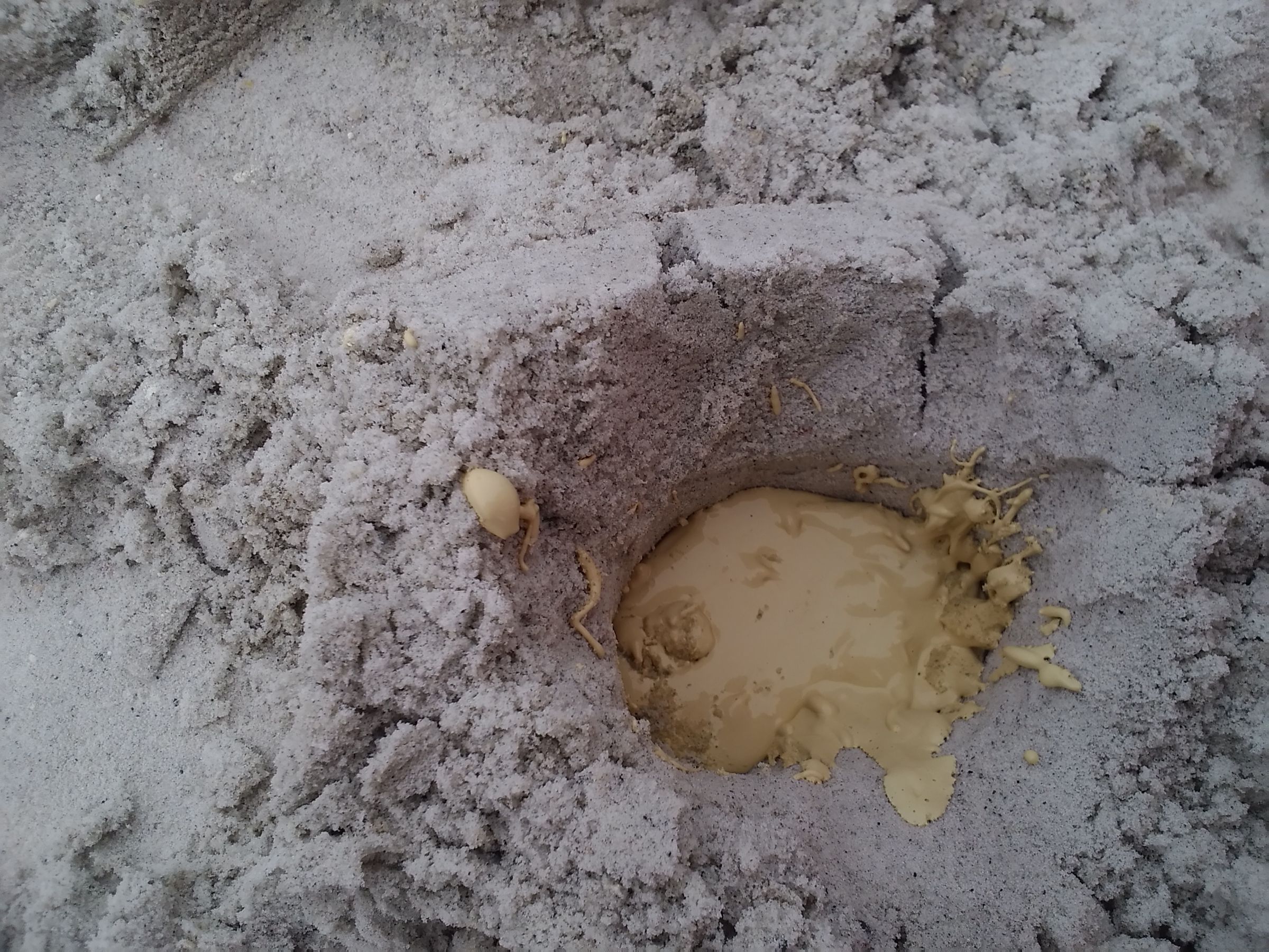 Beach Craft- Simple Sand Casting : 4 Steps (with Pictures) - Instructables