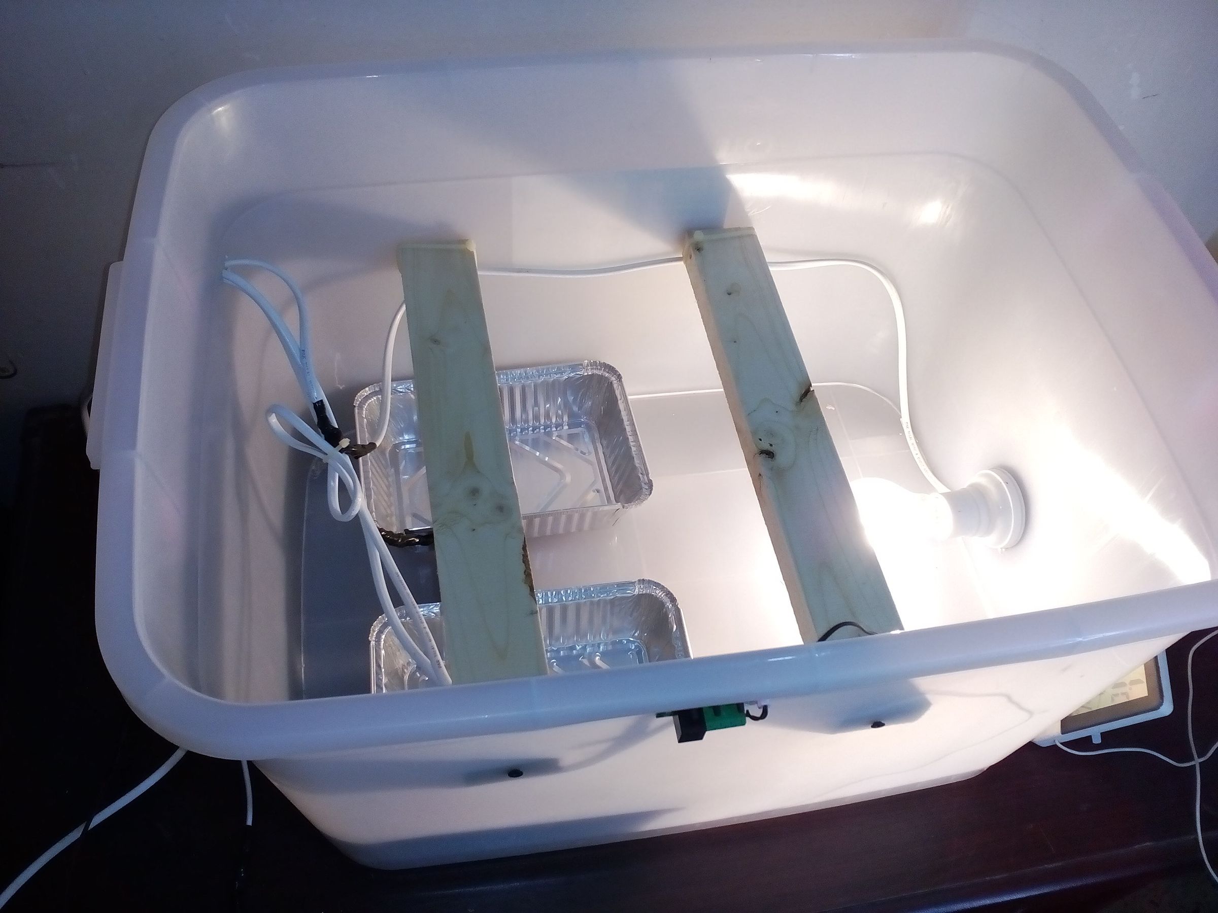 How to Make Homemade Incubator | Egg Hatcher at Home : 5 Steps (with ...