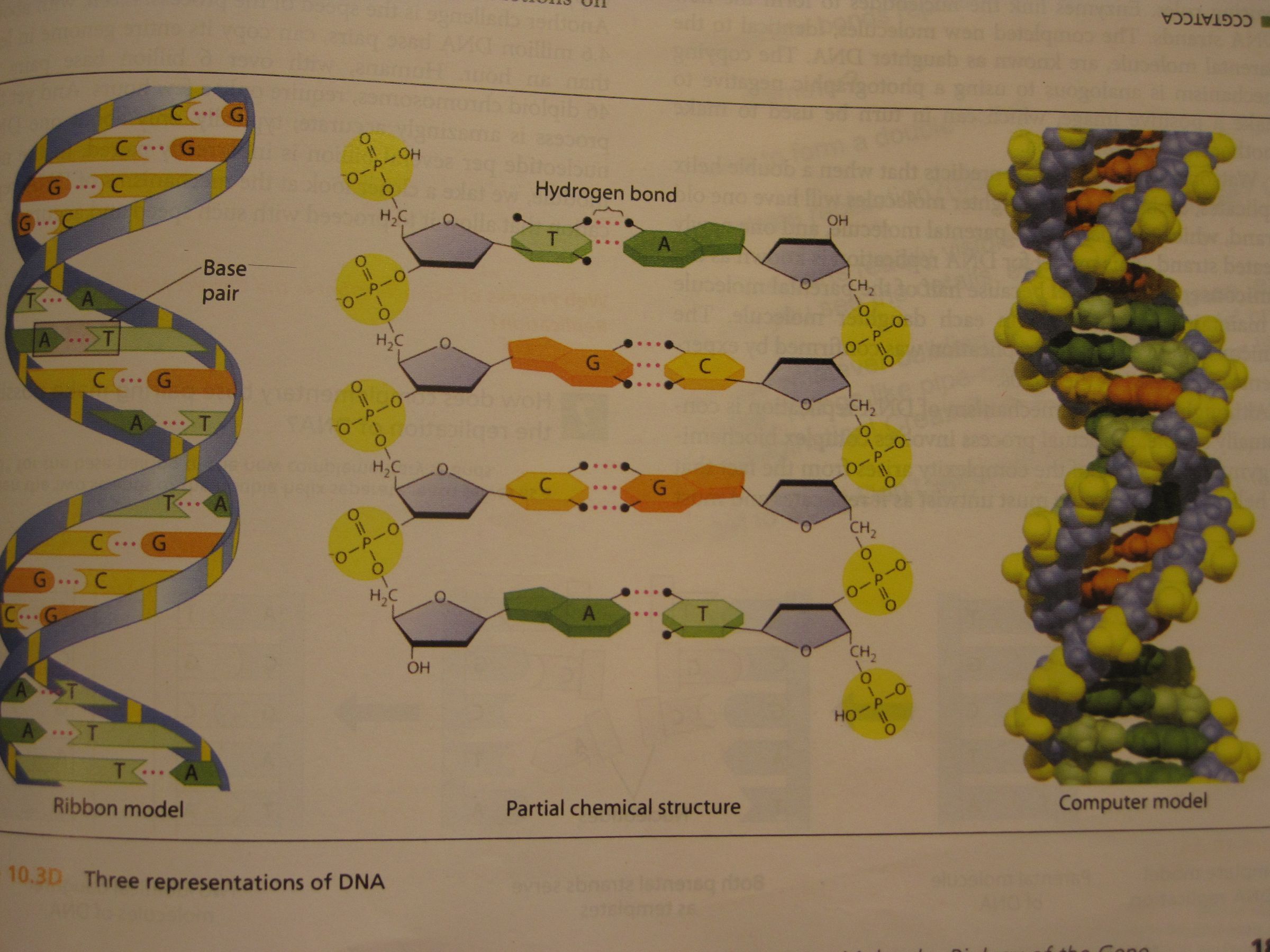 LED DNA Model : 9 Steps - Instructables