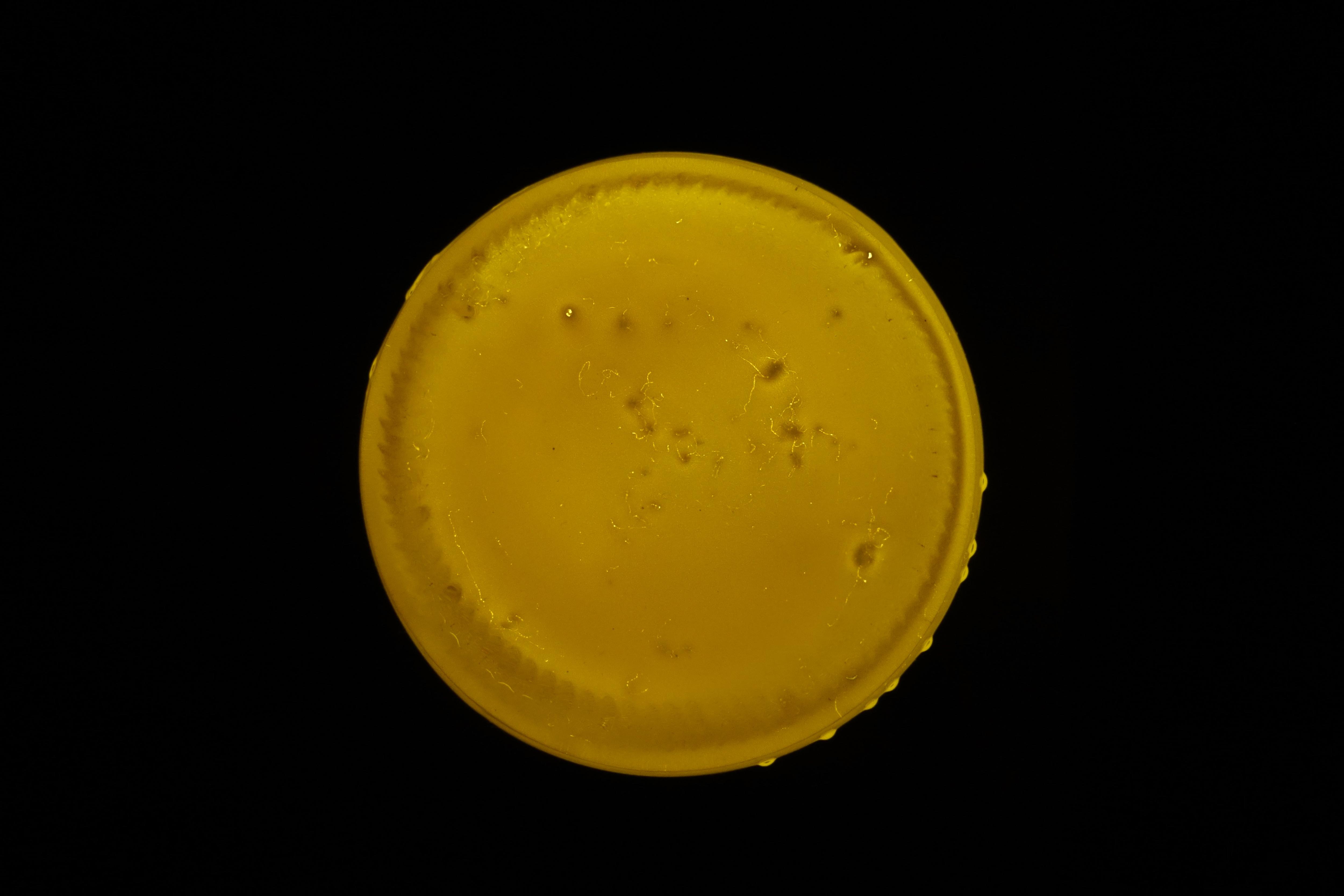 Firefly: Upcycled Mason Jar Night Lamp : 12 Steps (with Pictures ...