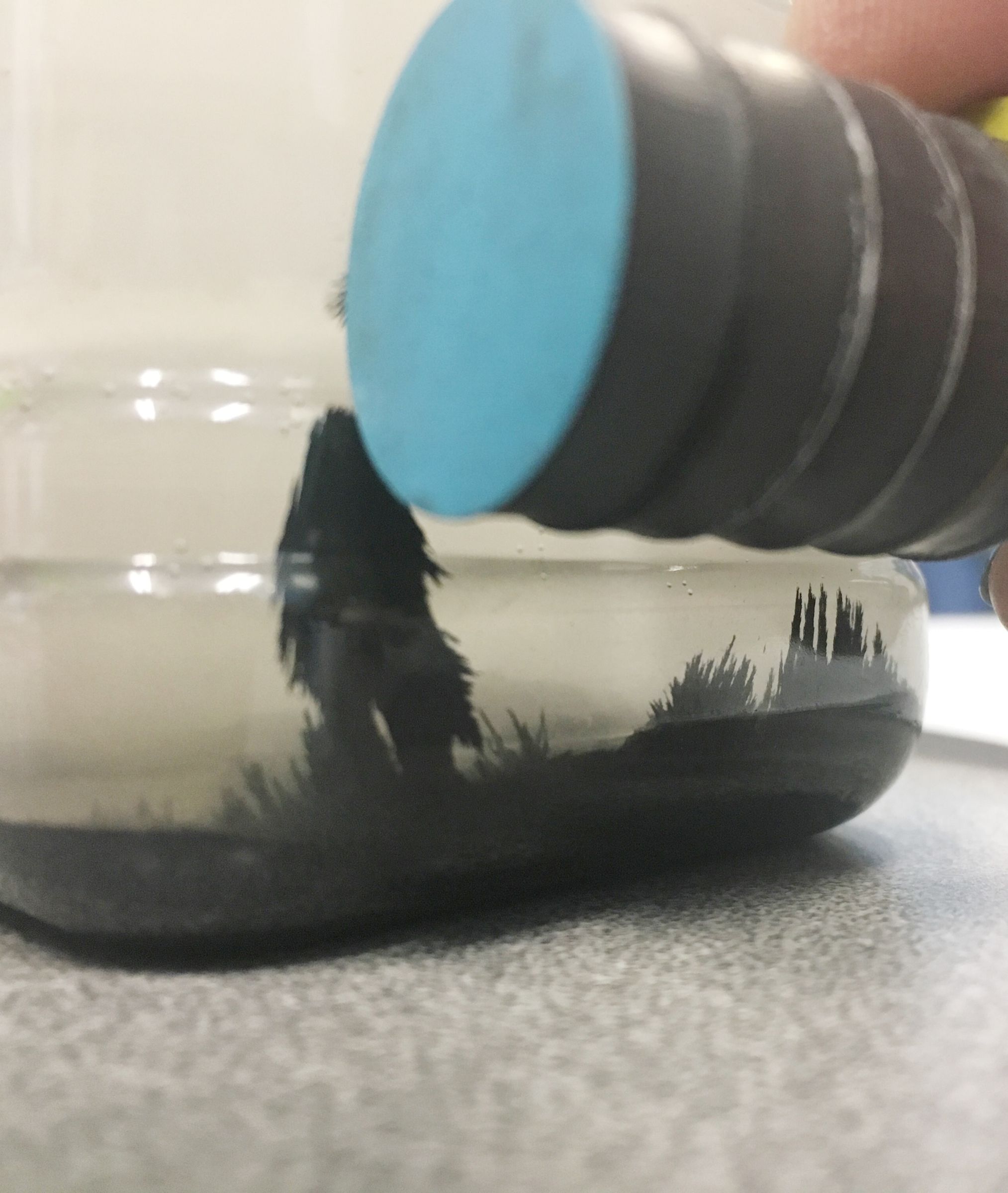Zen Bottle : 4 Steps - Instructables