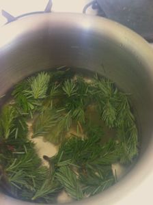 Pine Tip Simple Syrup : 5 Steps (with Pictures) - Instructables