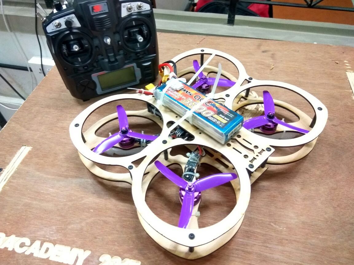 Building Custom Quadcopters (Monarch 230) : 9 Steps - Instructables
