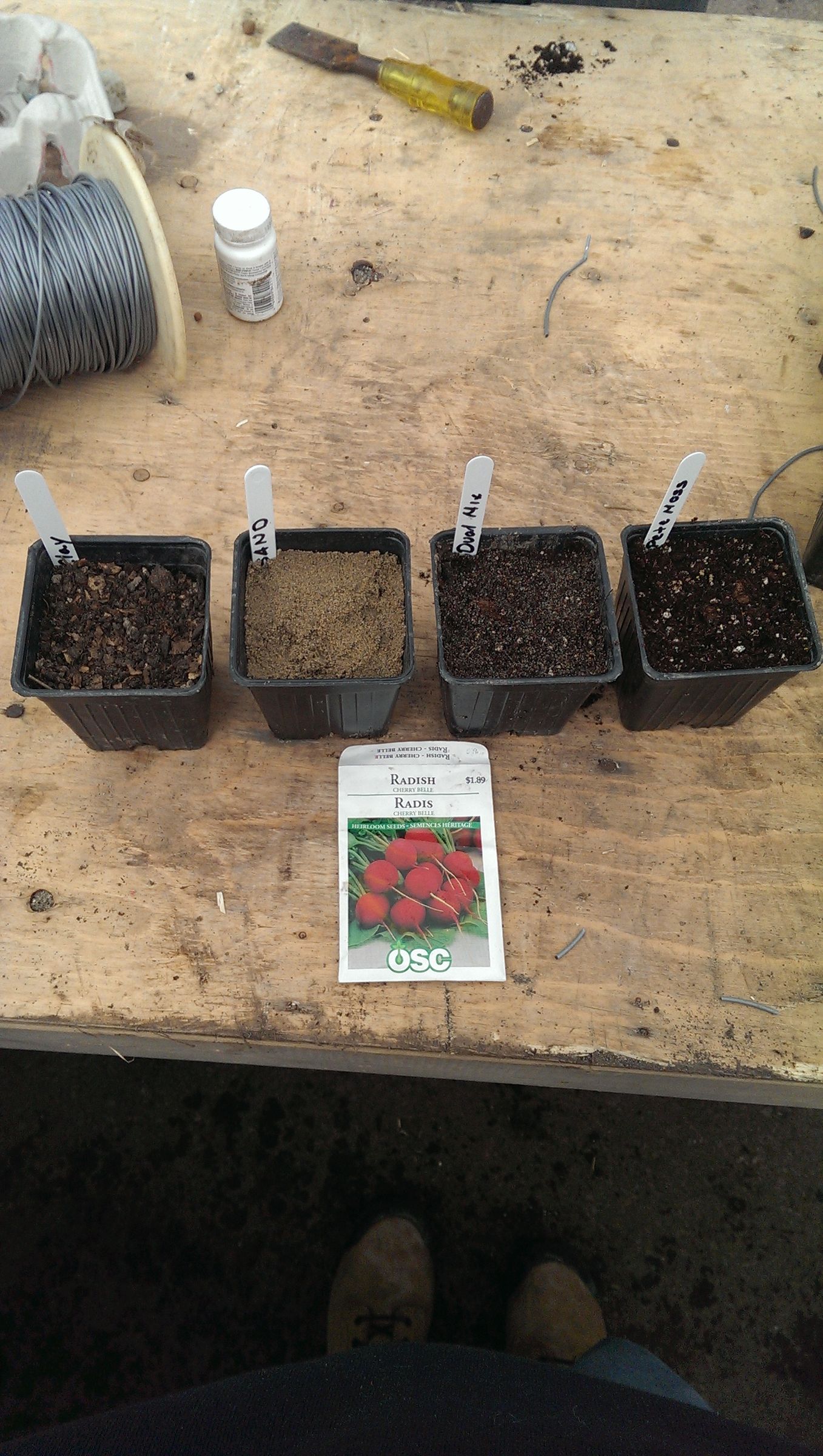 Germination Process in Various Growing Mediums : 6 Steps - Instructables