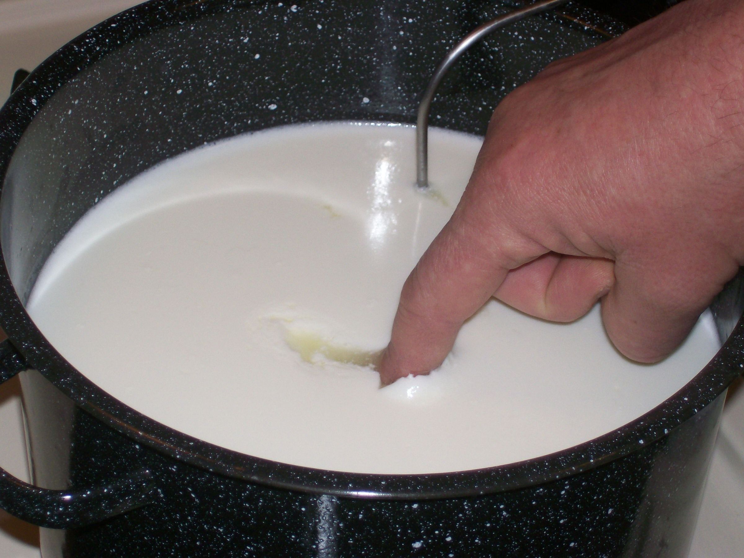 How to Make Great Fresh Mozzarella Cheese : 19 Steps (with Pictures ...