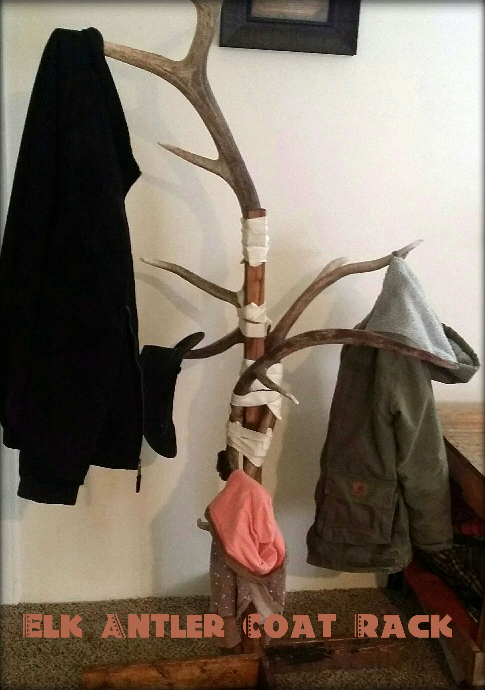 Antler and Rawhide Coat Rack : 5 Steps (with Pictures) - Instructables