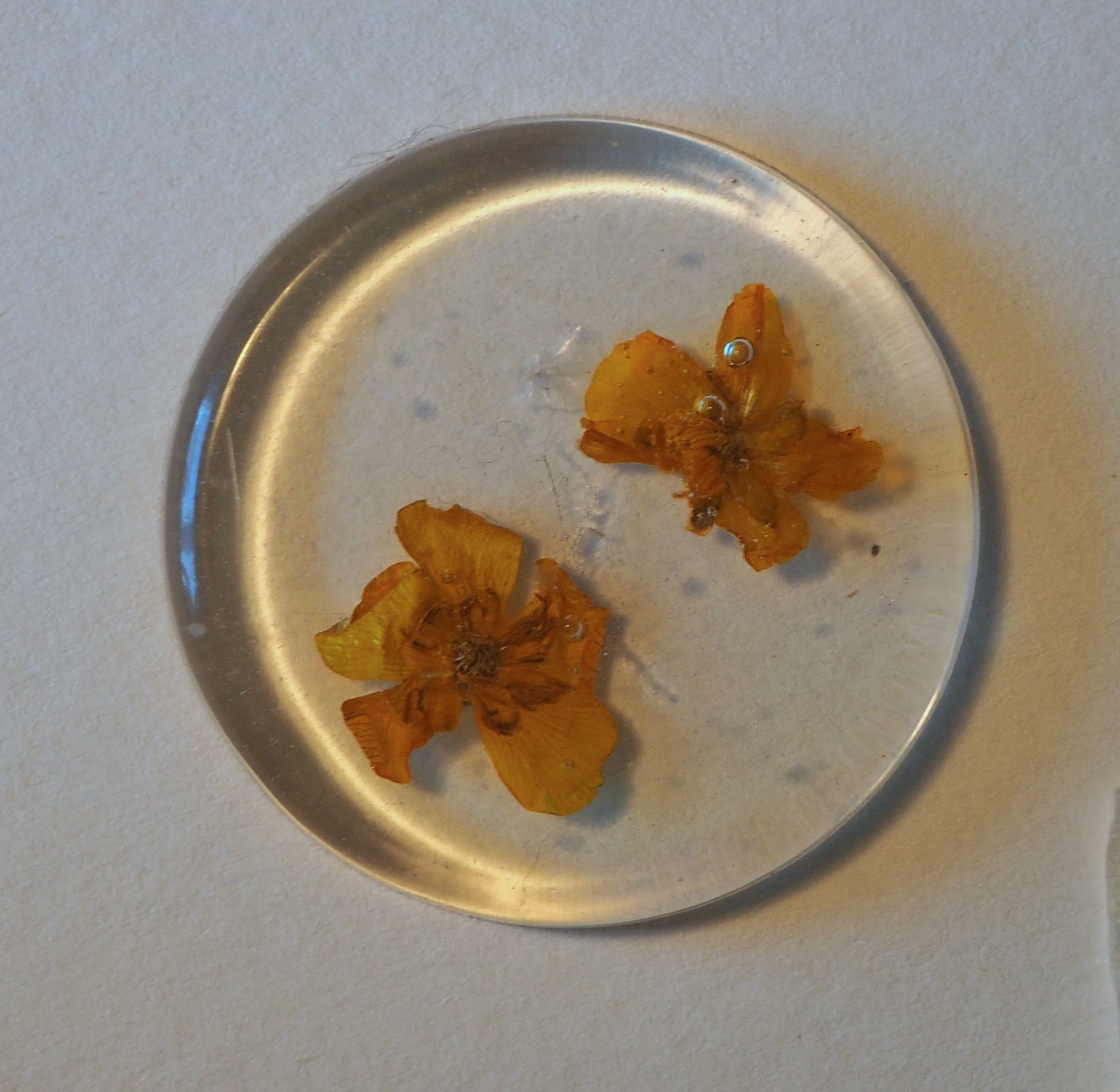 Techniques to Embed Flowers in Resin : 12 Steps (with Pictures ...