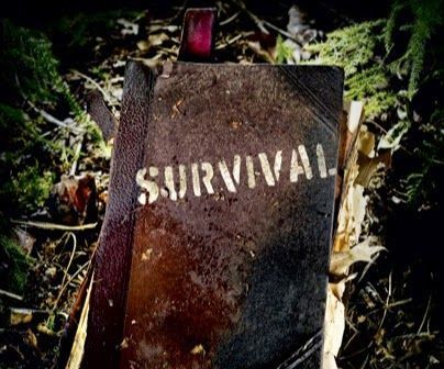 A Series of Beyond Basics in Survival: by Robby Oddo : 17 Steps ...