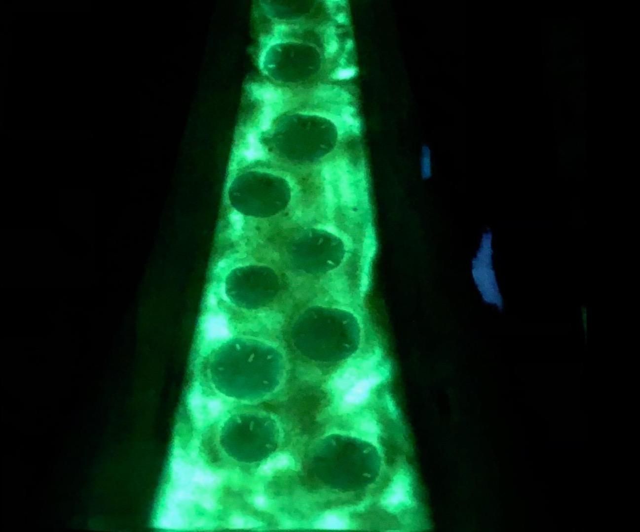 DIY Epoxy Beach Glow Table : 16 Steps (with Pictures) - Instructables