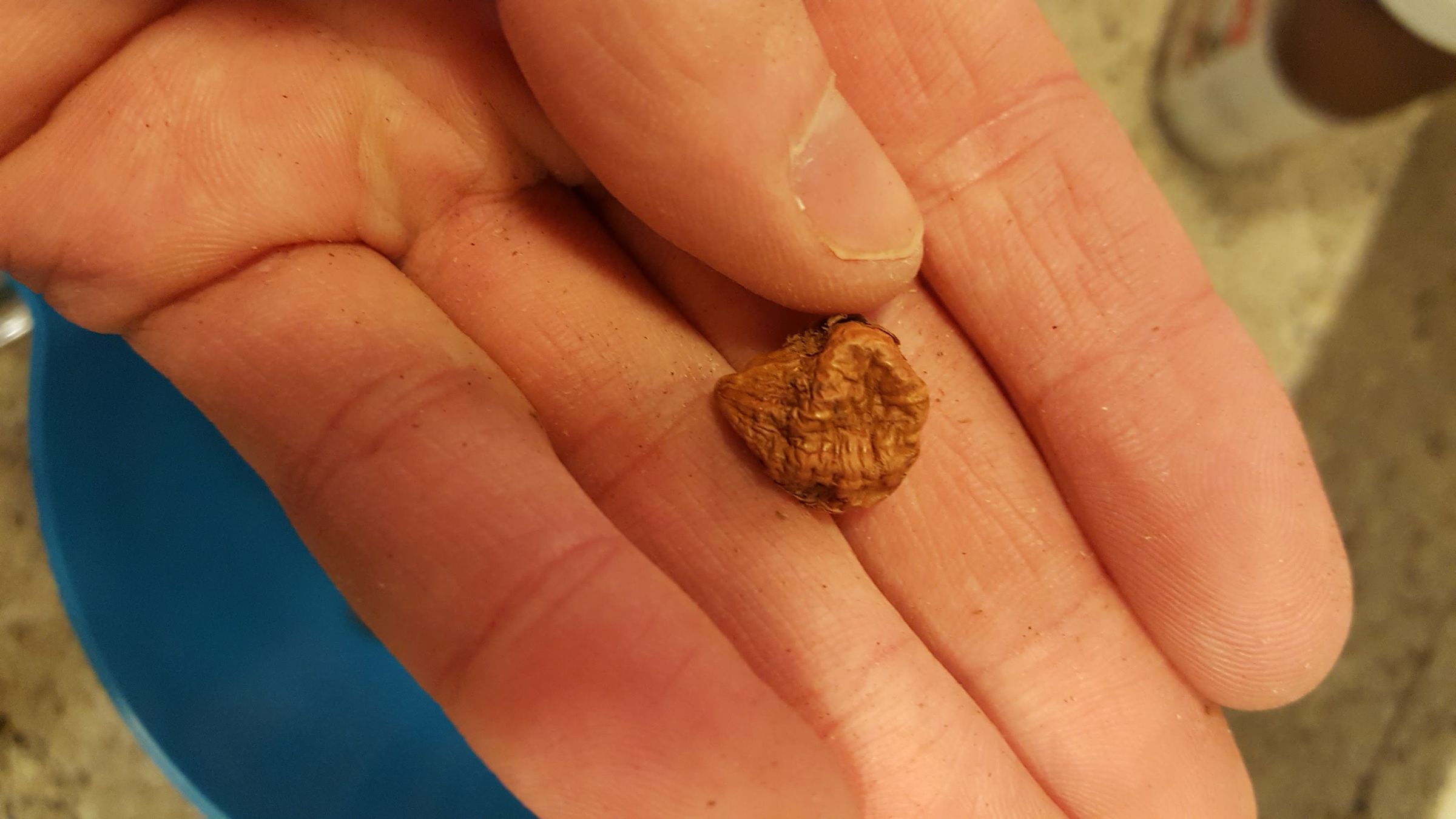 Knockoff Nutella : 6 Steps (with Pictures) - Instructables