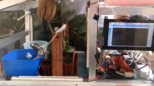 Automated Plant Monitoring System : 7 Steps (with Pictures) - Instructables