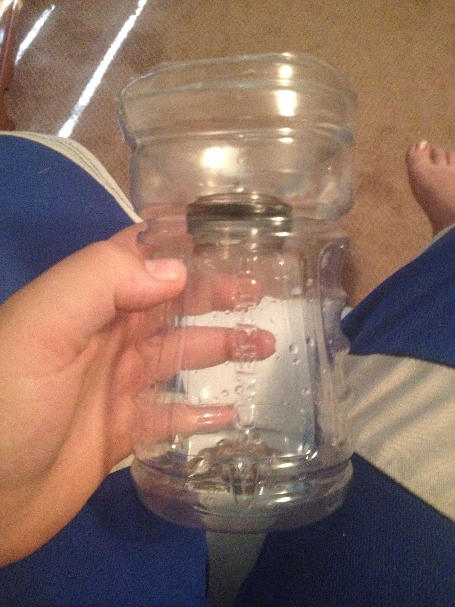 How to Make a Fish Trap : 8 Steps - Instructables