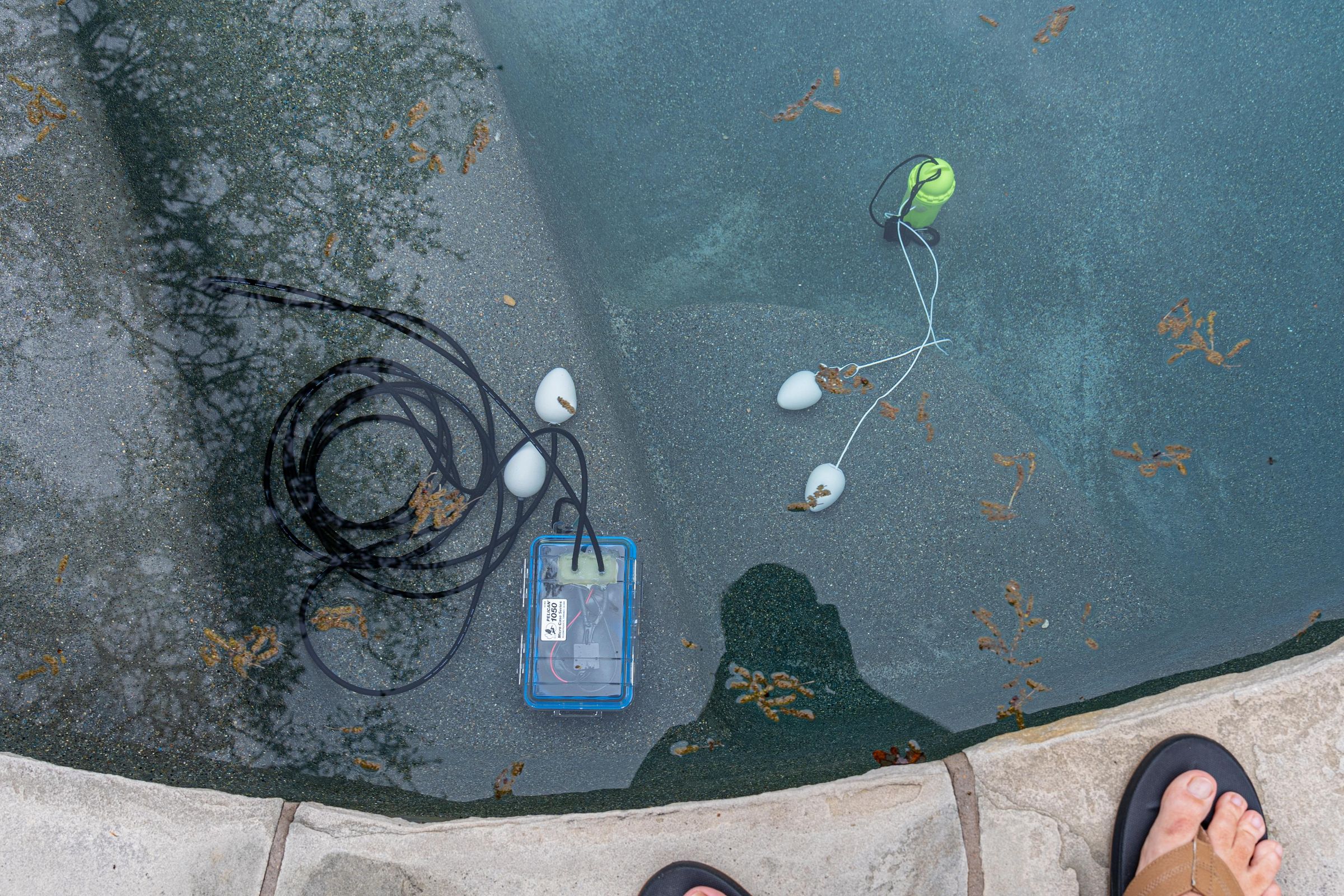 Hydrophone Drop Rigs : 5 Steps (with Pictures) - Instructables