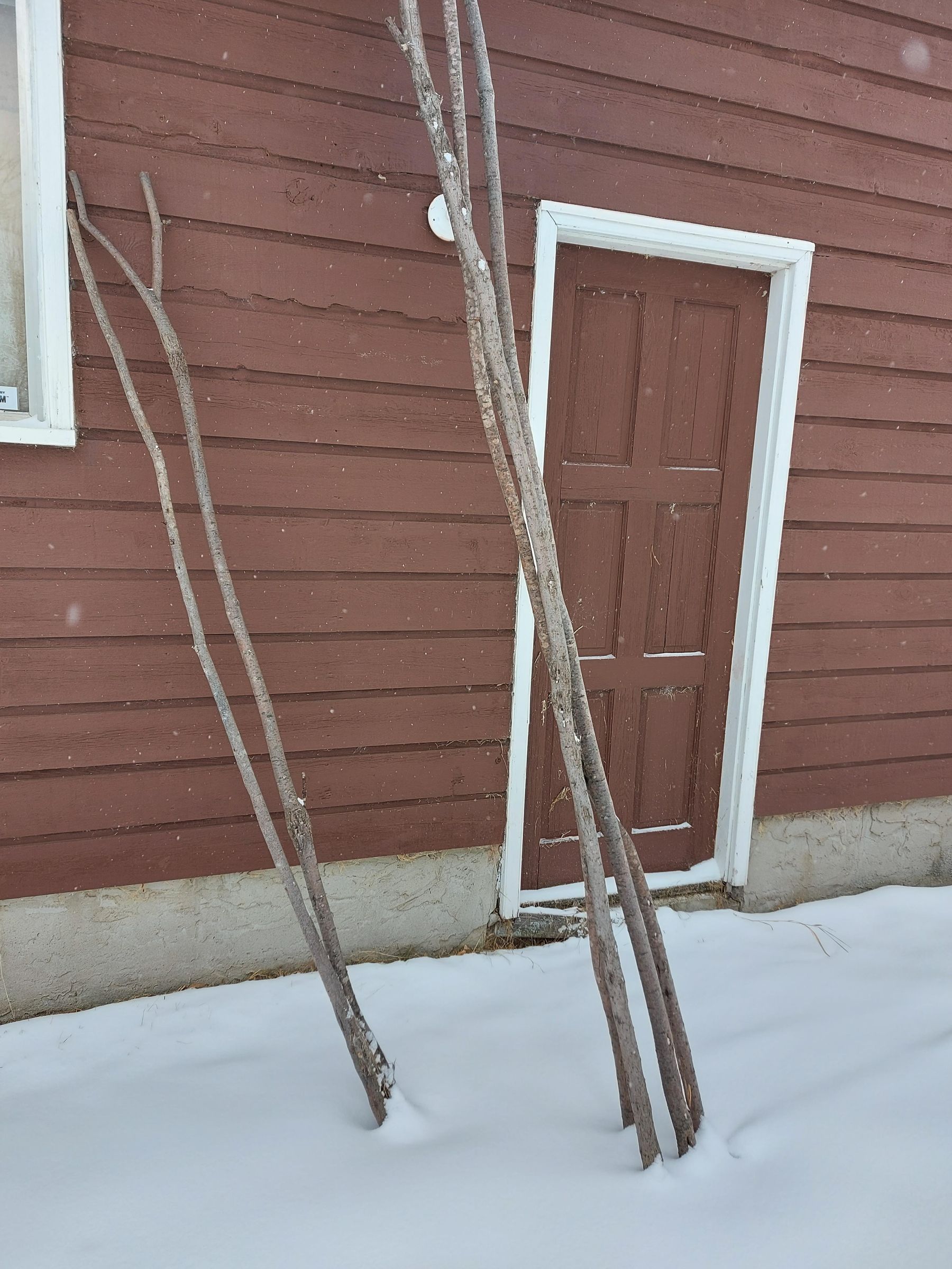 Diamond Willow Walking Stick : 7 Steps (with Pictures) - Instructables