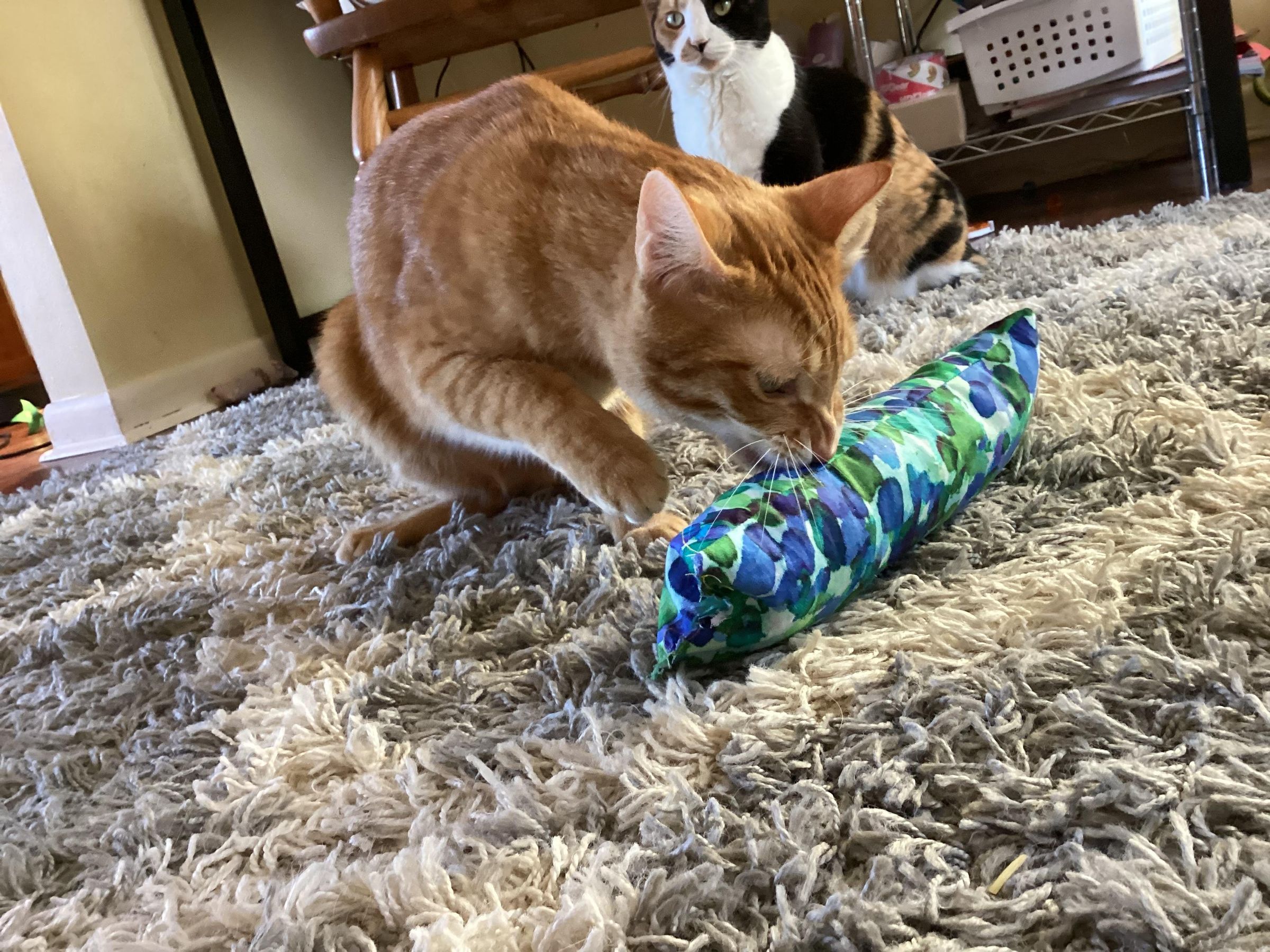 Easy Cat Catnip Kick Stick : 7 Steps - Instructables