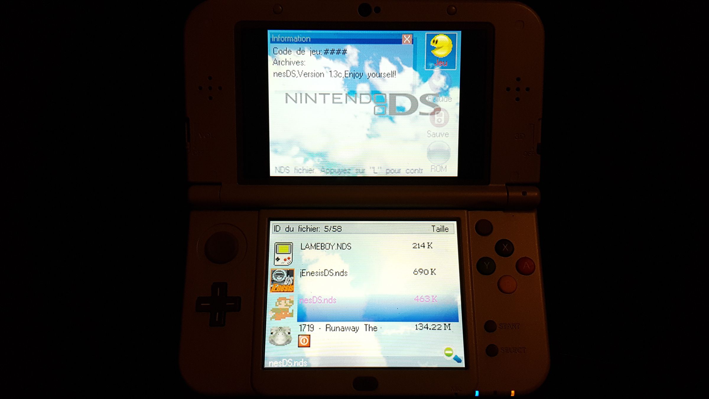 Tuto Emulateur NES Avec La R4 3DS RTS SDHC : 7 Steps - Instructables