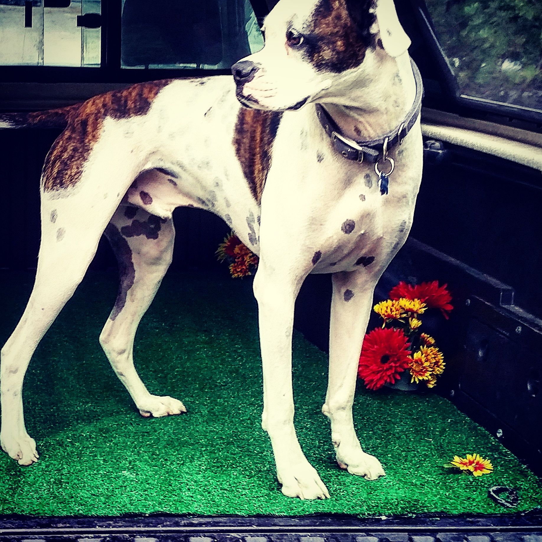 Truck Flower Bed : 4 Steps - Instructables