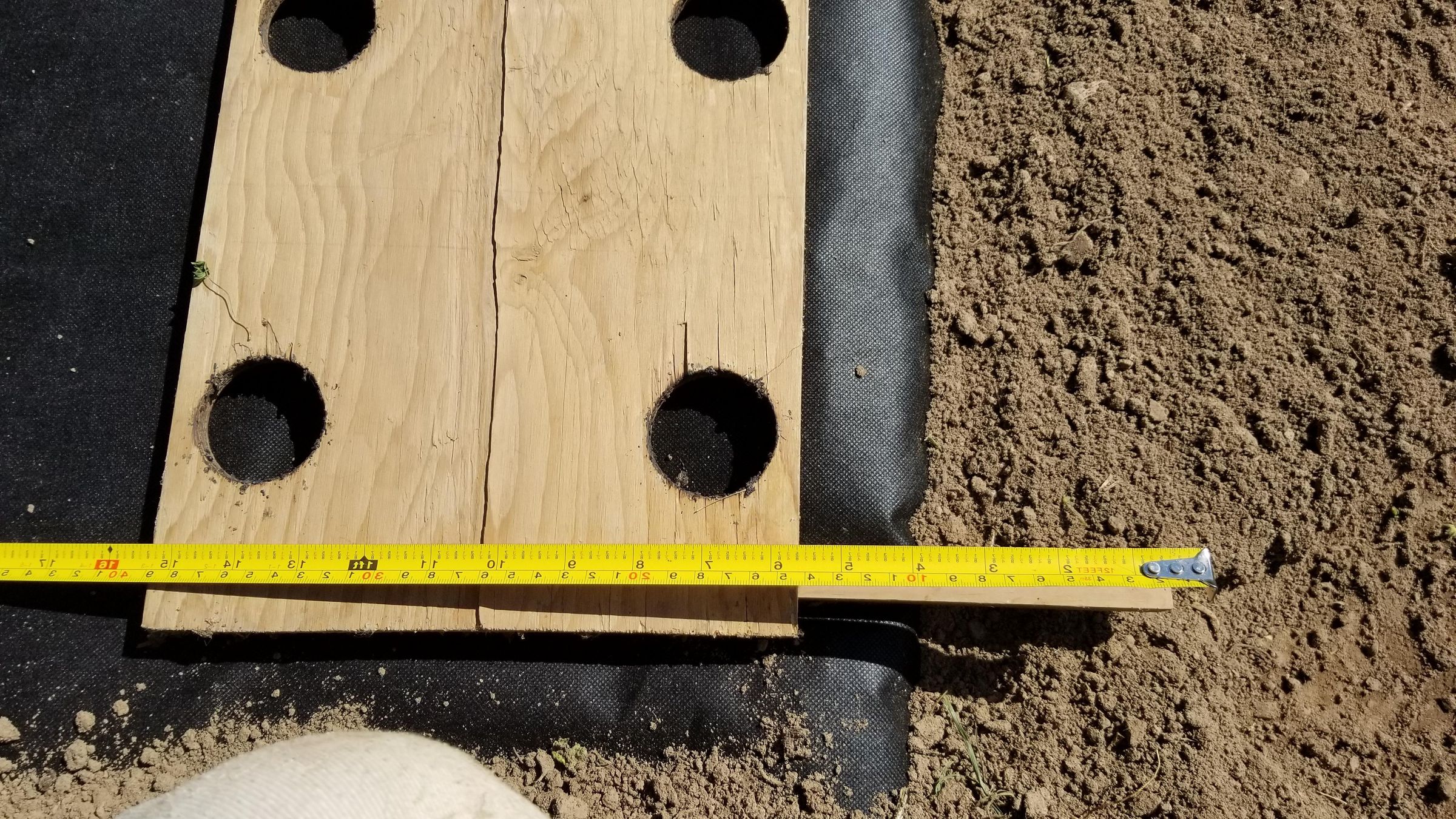 Garlic Gardening : 49 Steps (with Pictures) - Instructables