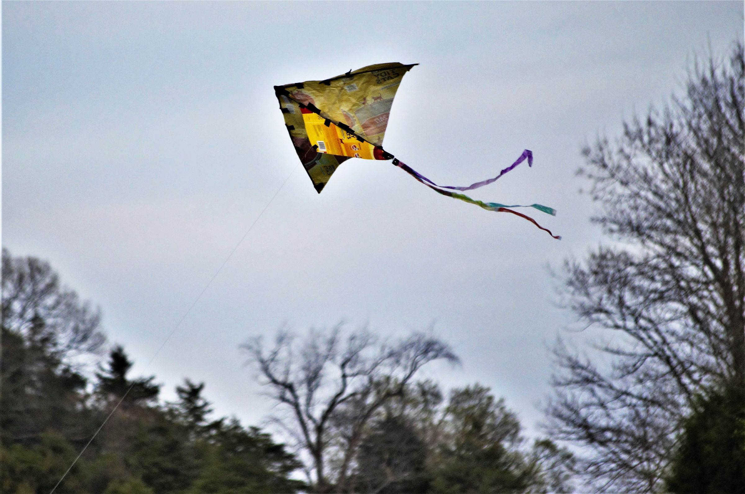 DIY Recycled Material Kite : 7 Steps (with Pictures) - Instructables