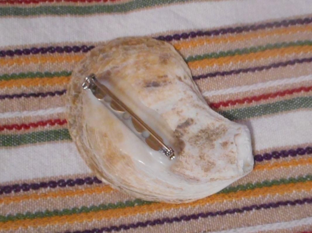 Oyster Shell Name Pins (or Place Cards) : 6 Steps - Instructables