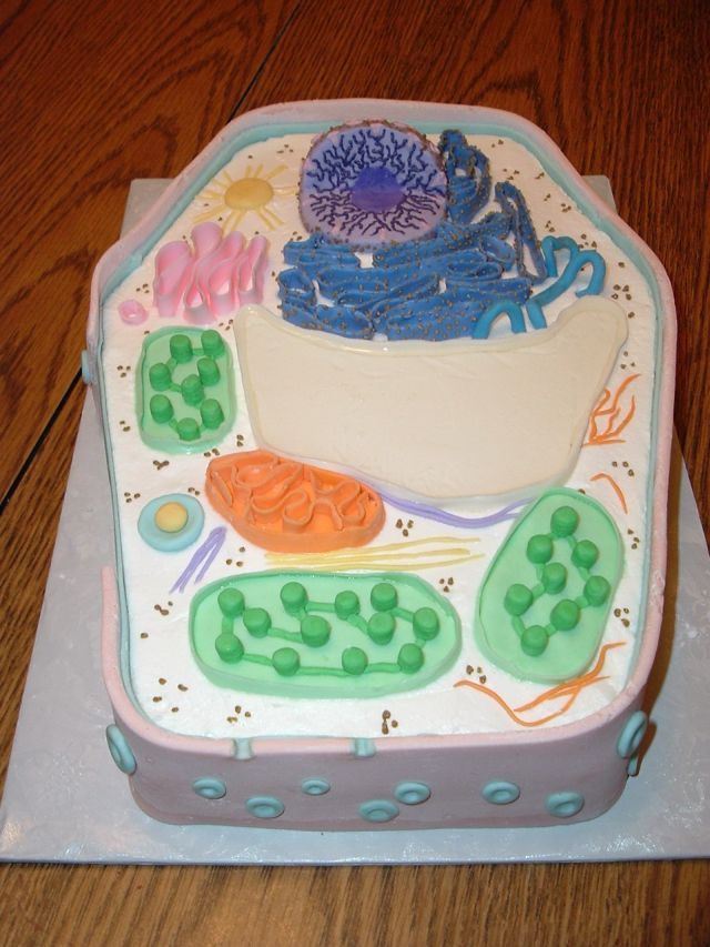 Plant Cell Cake : 3 Steps (with Pictures) - Instructables