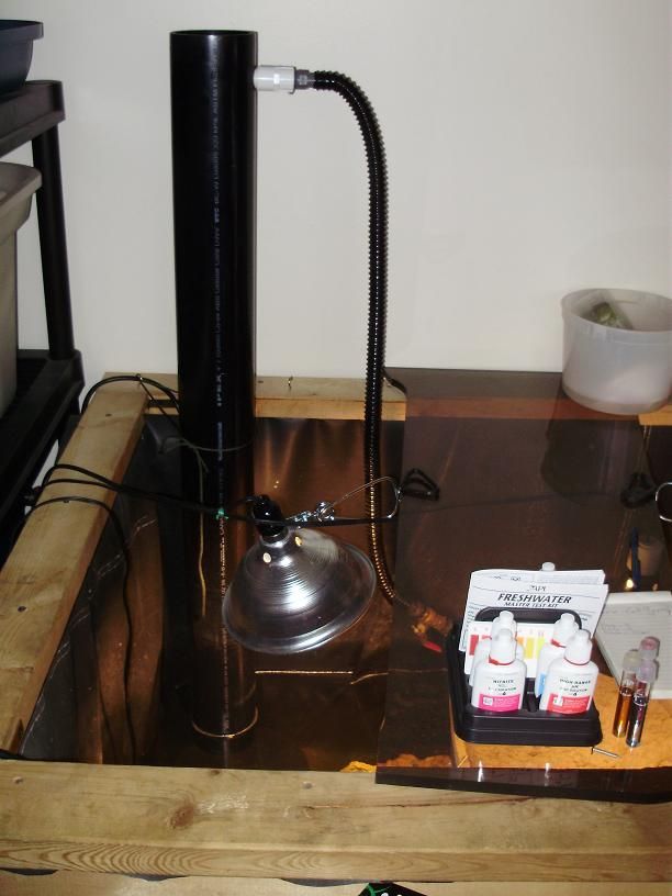 Building a Large Trickle Filter for My Turtle Tub. : 5 Steps ...