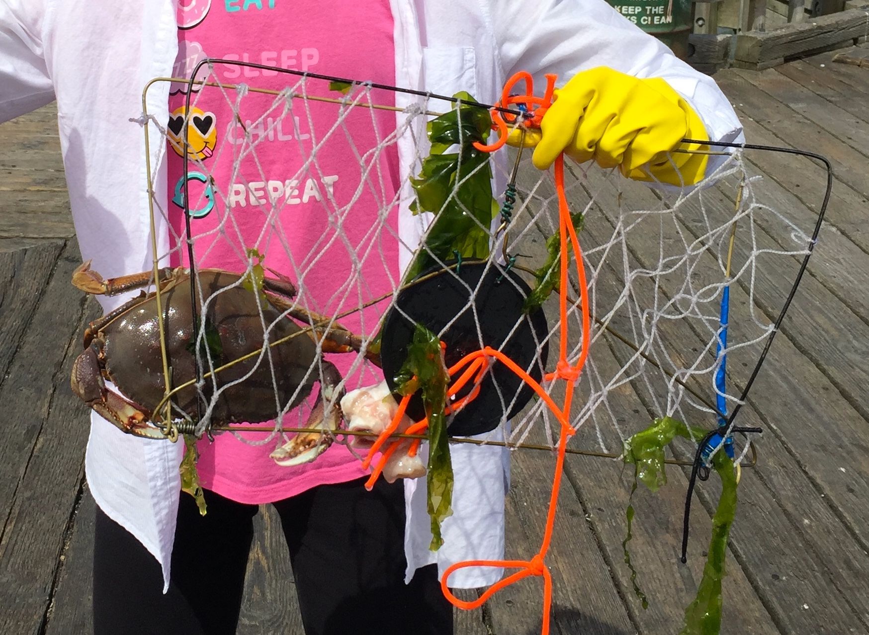 Wire Coat Hanger Casting Crab Trap : 14 Steps (with Pictures ...