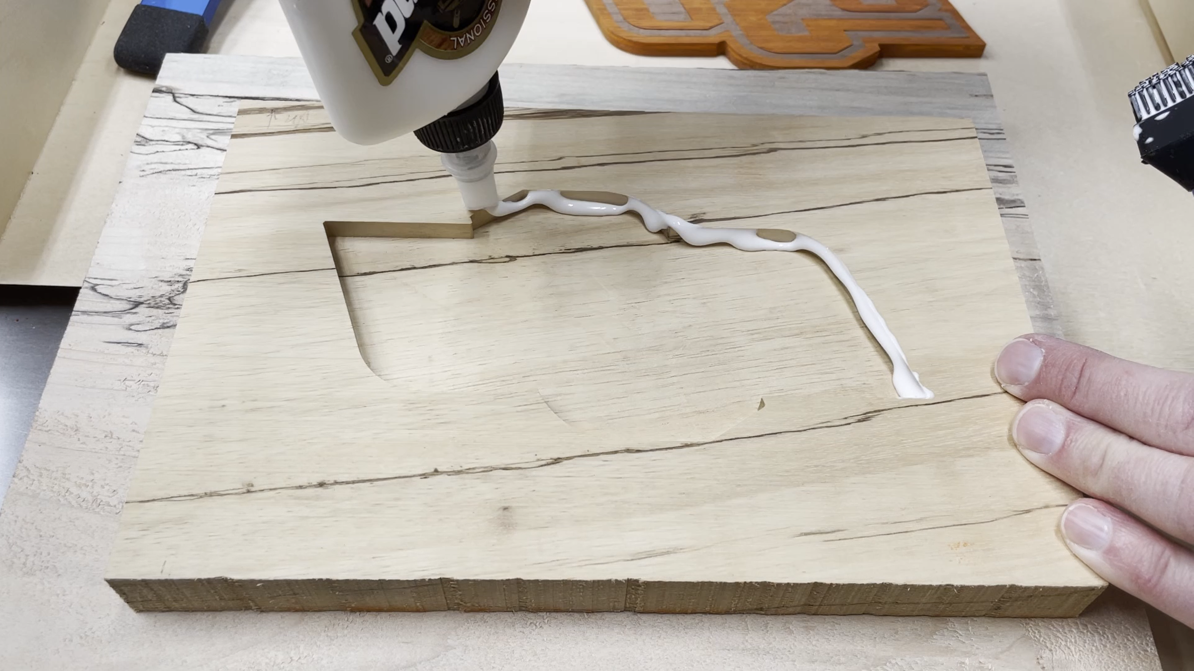 How to Make a Two Color Inlay Tray : 13 Steps (with Pictures ...