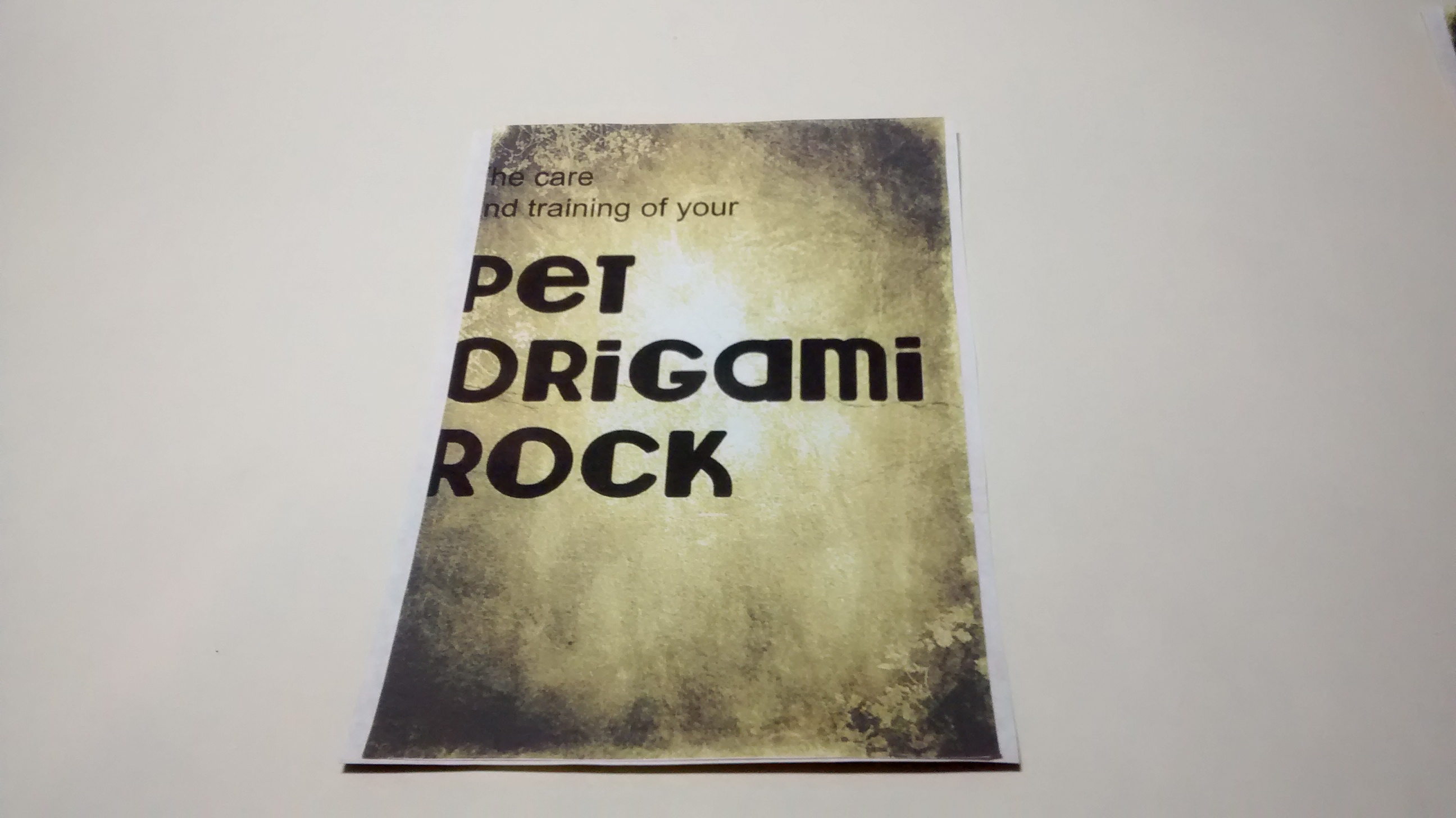 Pet Origami Rock and Manual : 4 Steps - Instructables