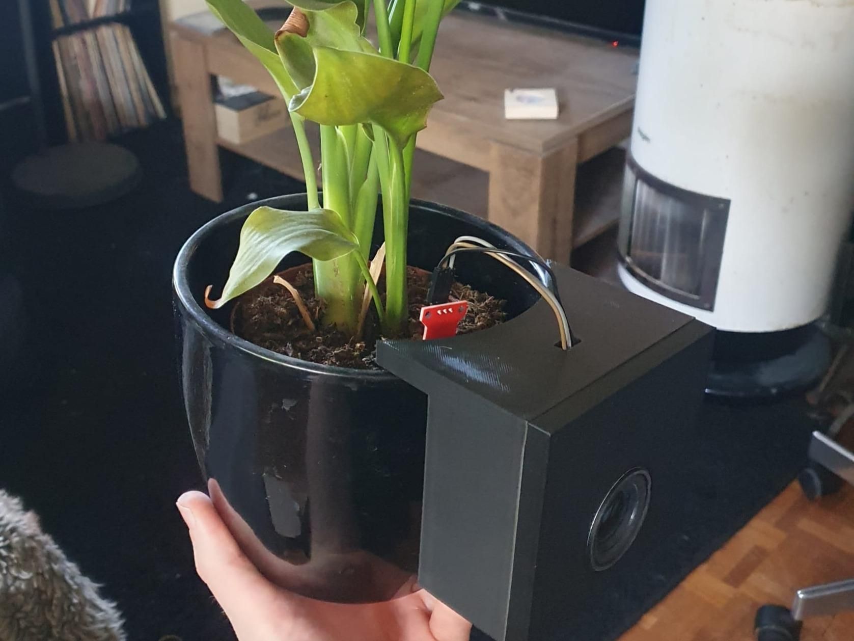 Talking Flower Pot Add-On With Arduino : 5 Steps (with Pictures) - Instructables