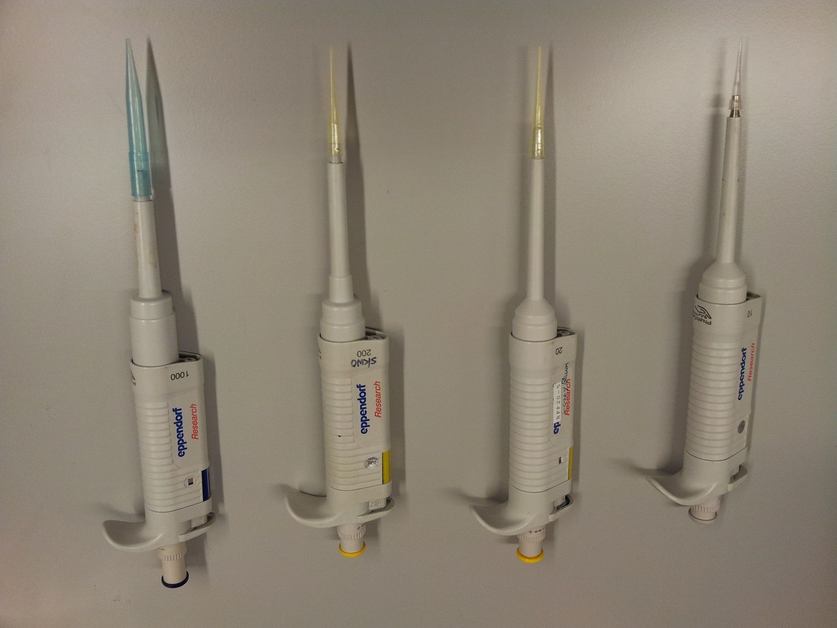 Evaluation for an APS/TEMED Aliquot in the SDS-PA Gel Protocol : 8 ...
