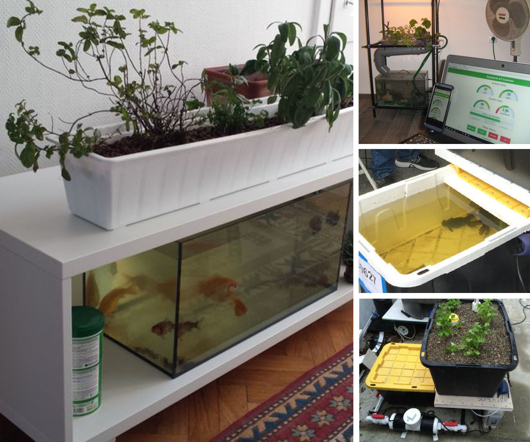 Aquaponics - Instructables
