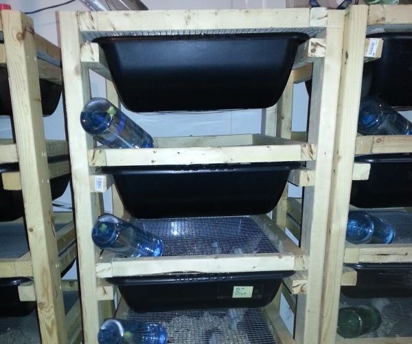 Rodent Rack : 4 Steps - Instructables
