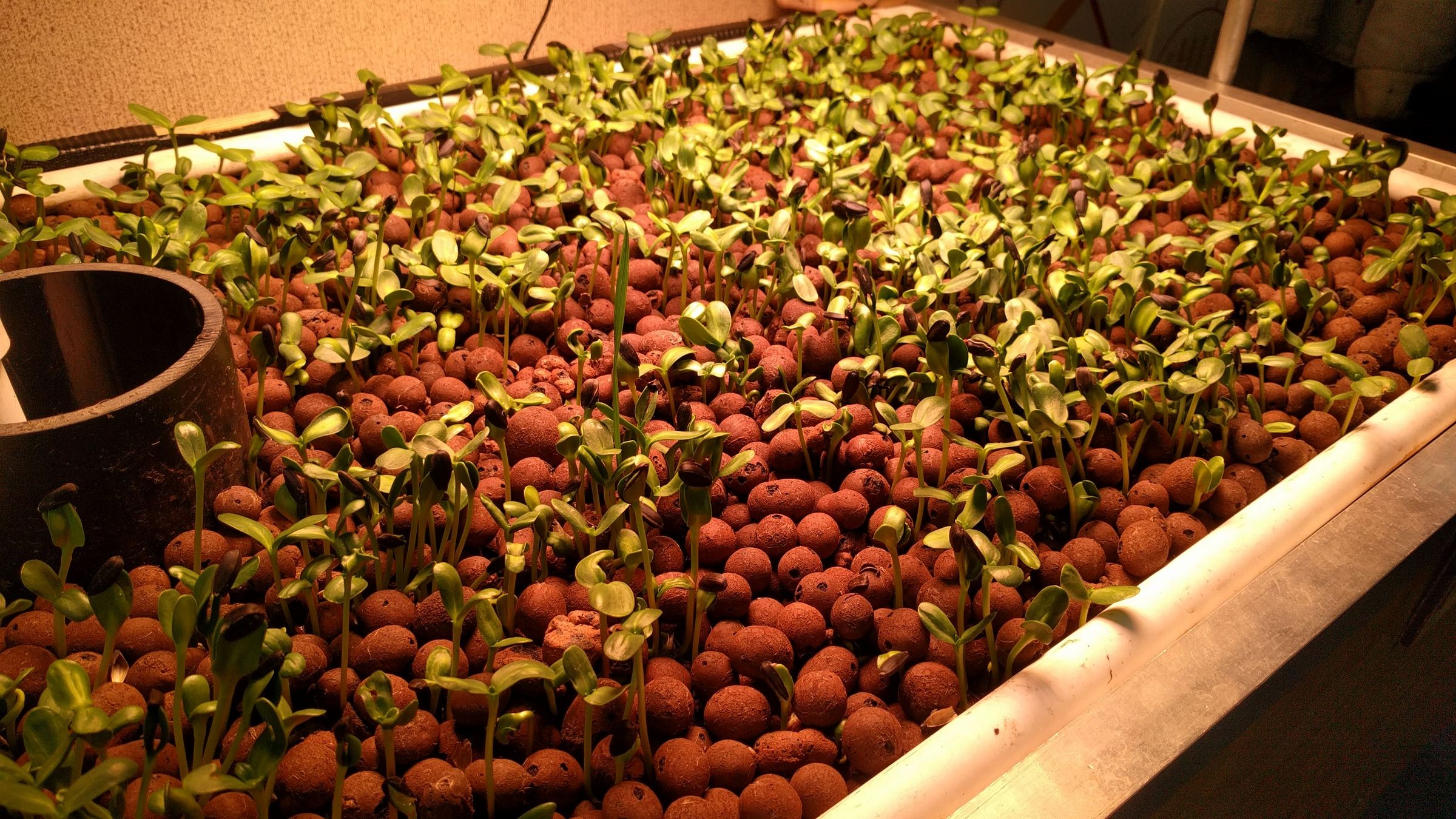 V2 Controller - Smart Aquaponics : 49 Steps (with Pictures) - Instructables