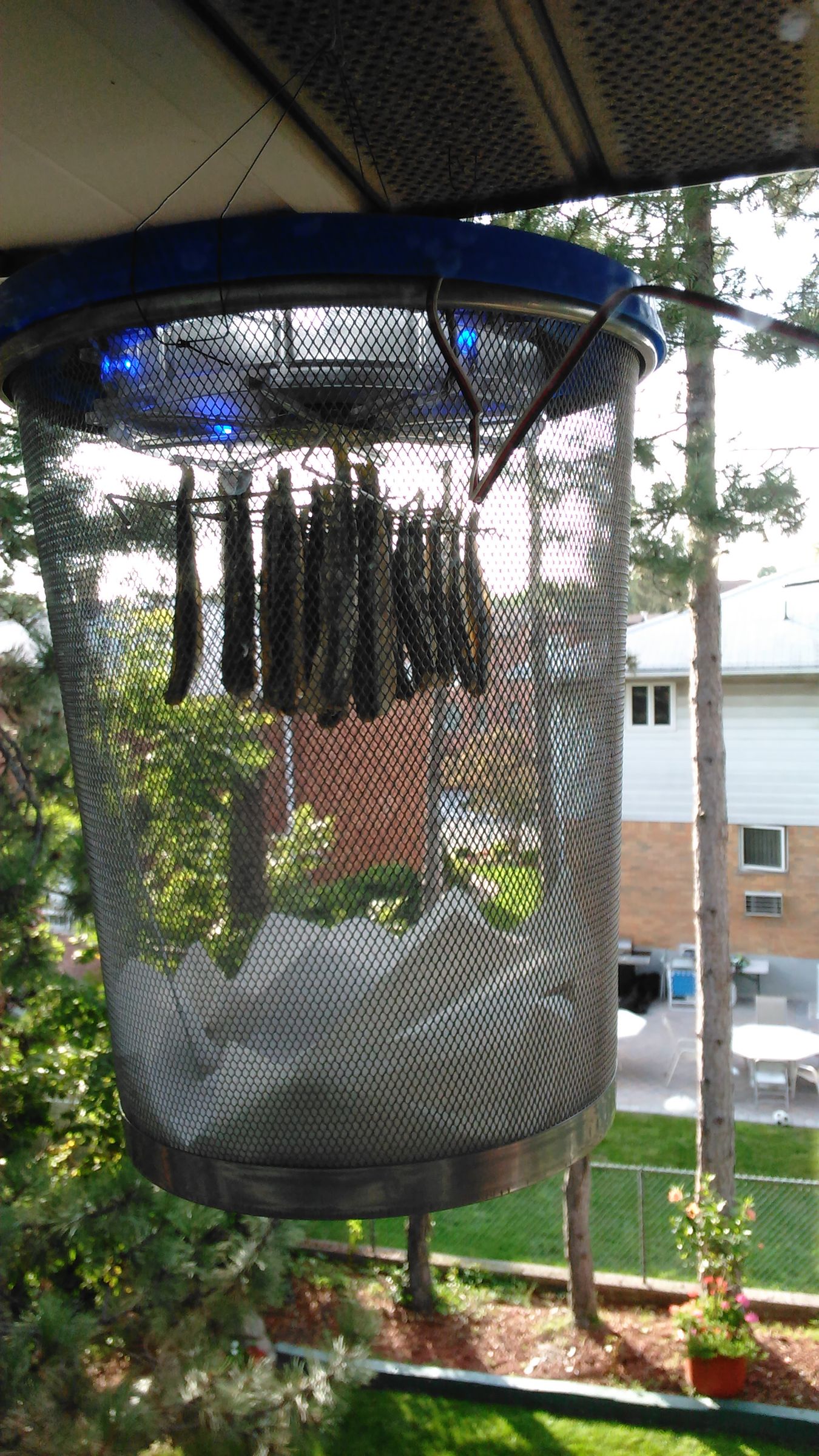 Taranka (Salted and Dried Fish) : 3 Steps (with Pictures) - Instructables