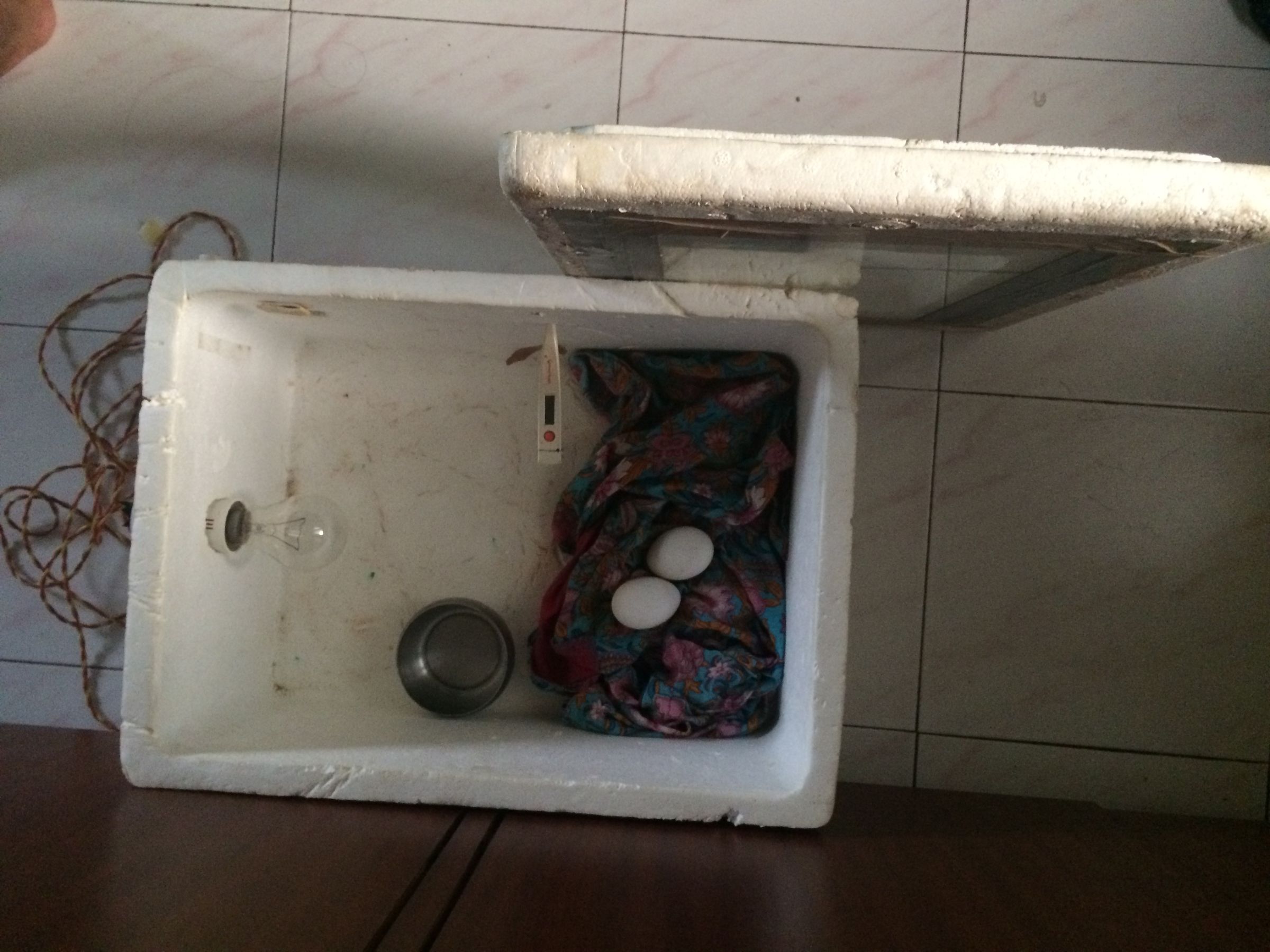 Make a Solar Powered Incubator : 7 Steps (with Pictures) - Instructables