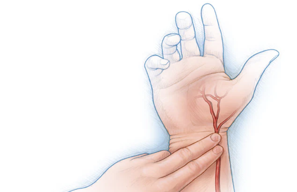 Vital Sign Measurements: Taking a Radial Pulse : 8 Steps - Instructables