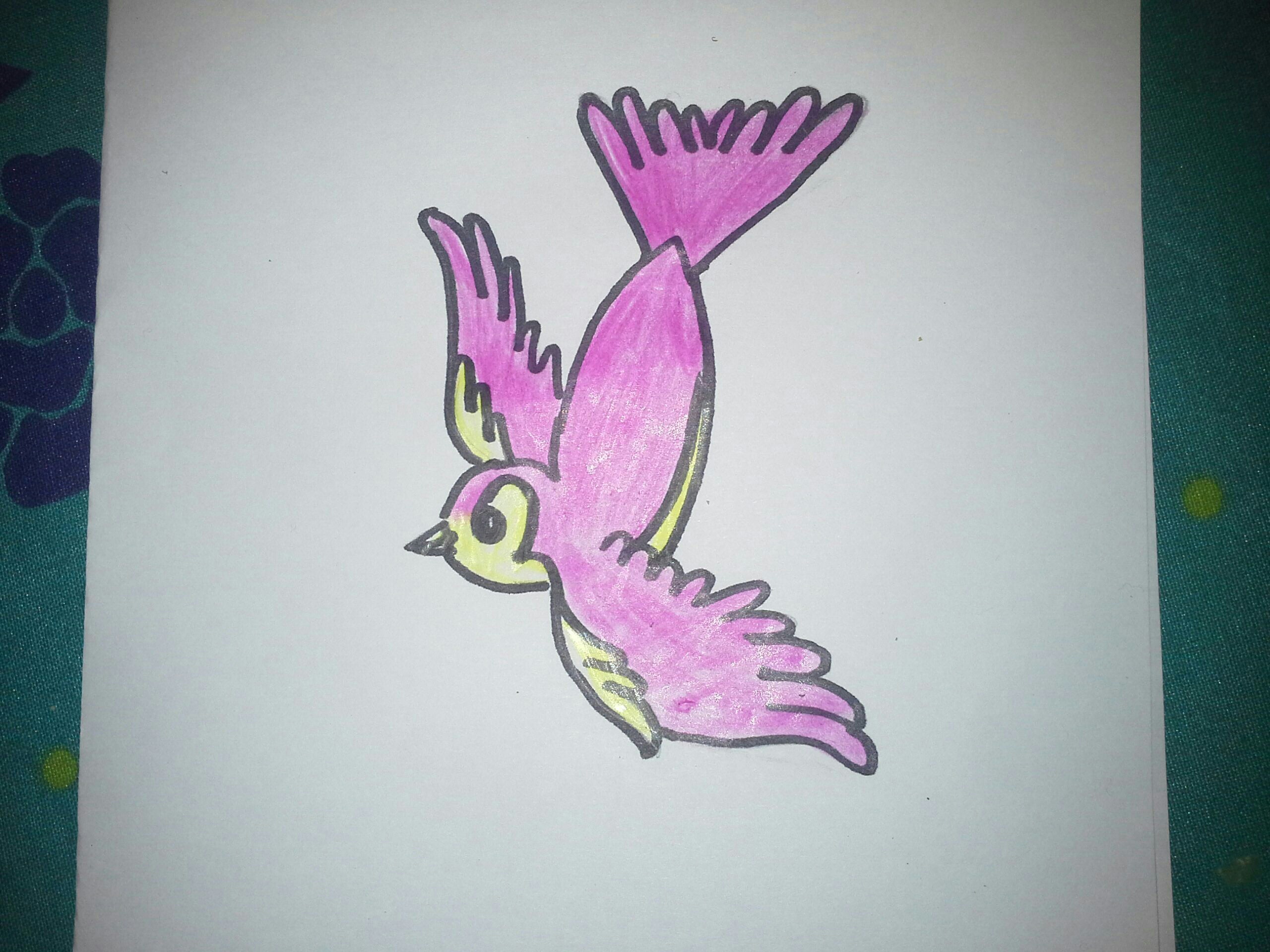 How to Draw a Swallow : 10 Steps (with Pictures) - Instructables