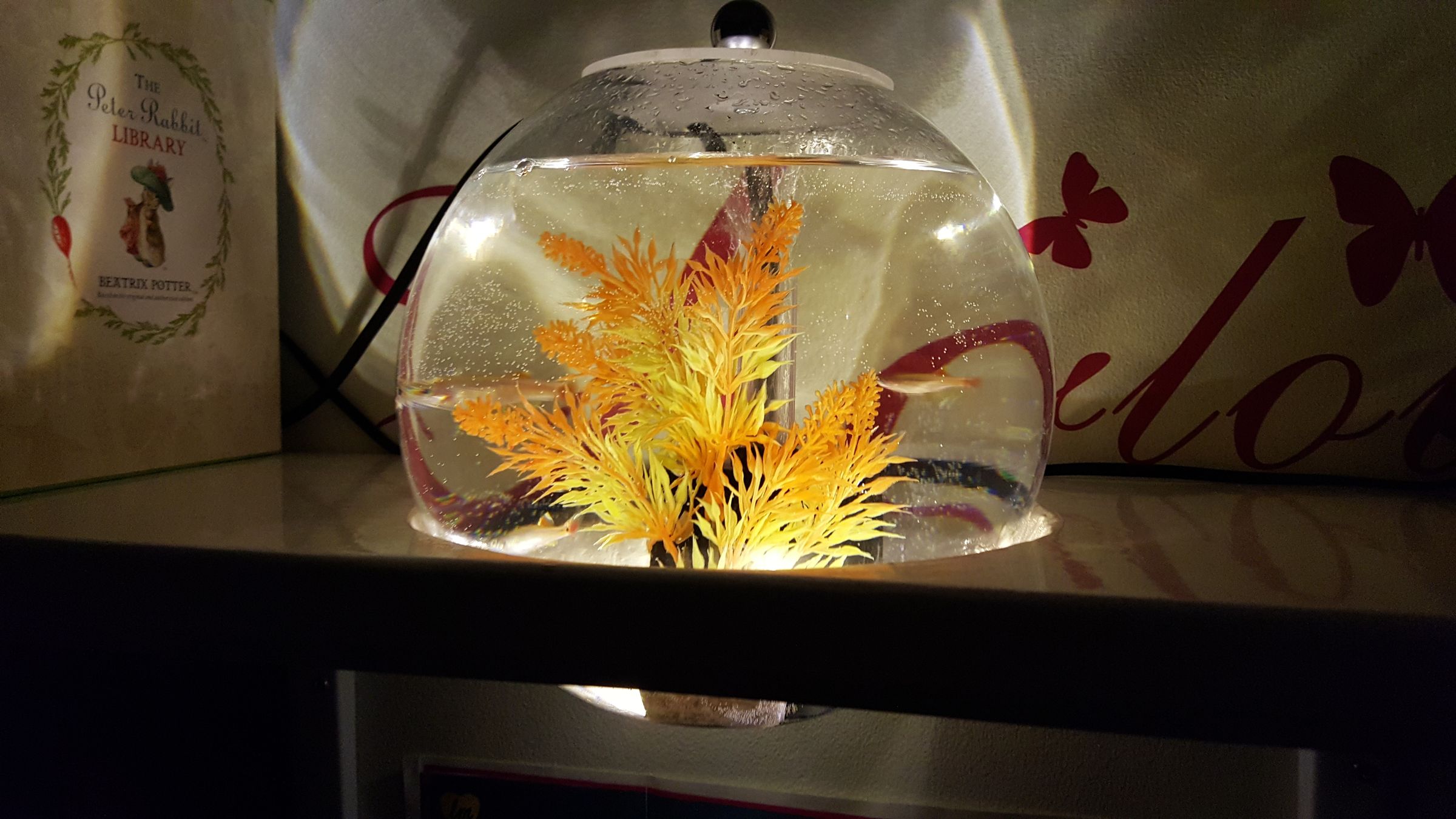 FiSHELF - the Fish Bowl Book Shelf : 7 Steps (with Pictures ...