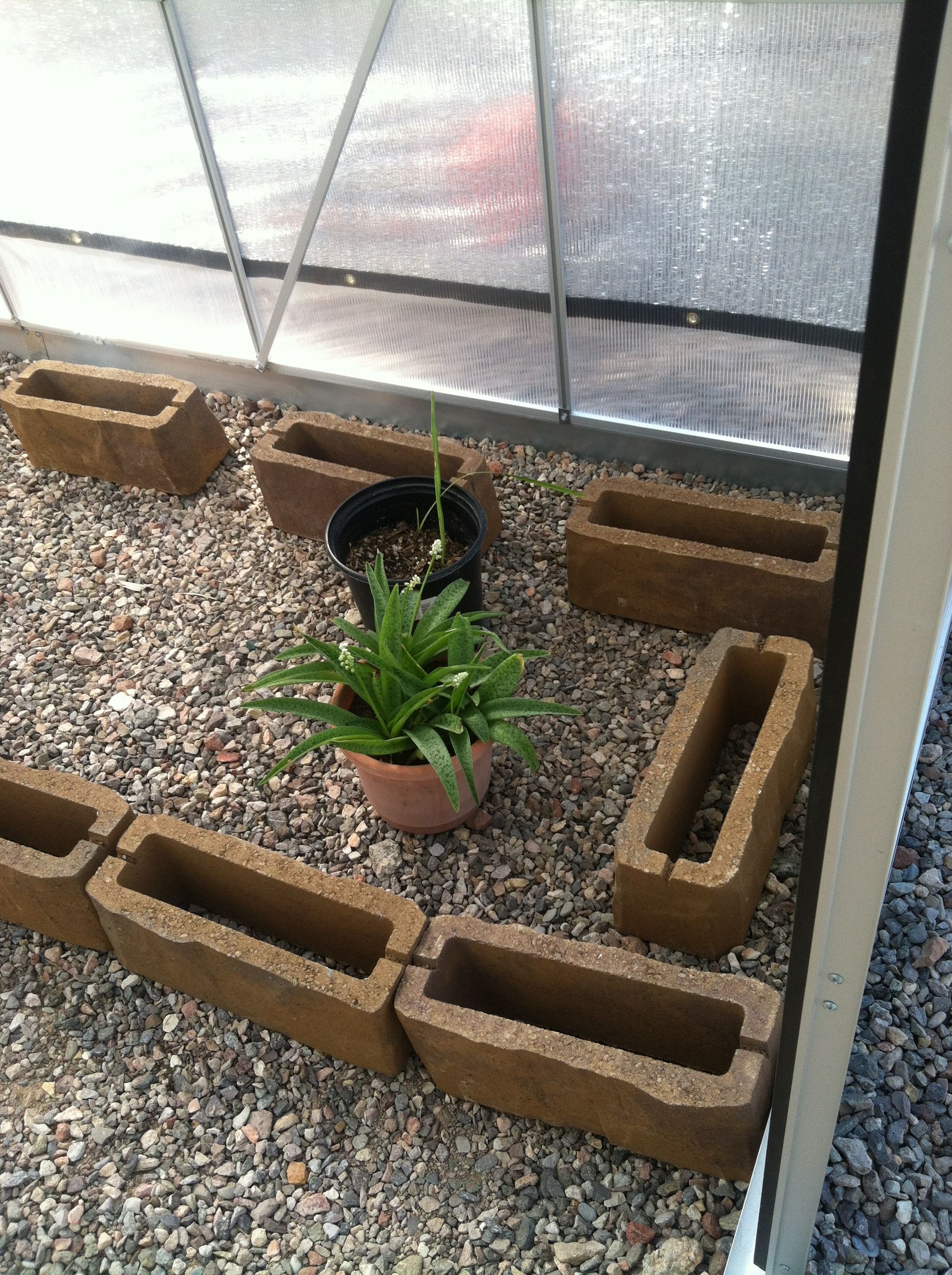 Greenhouse Modifications for Hot Climates : 8 Steps (with Pictures ...