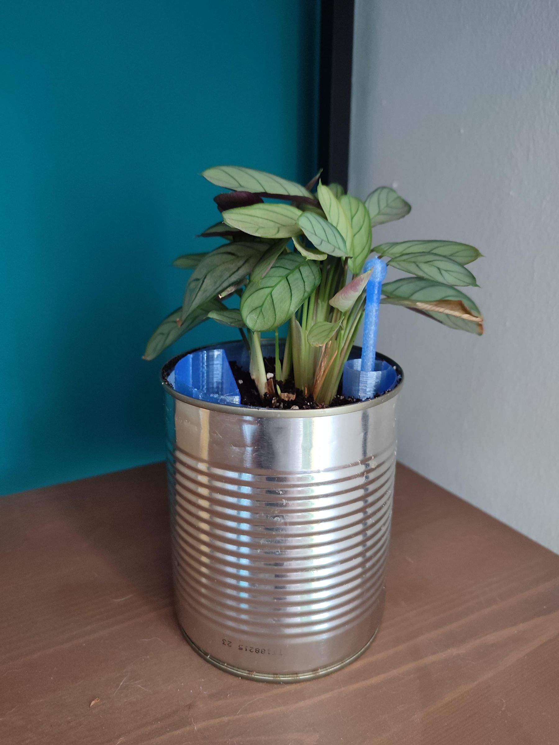 Self-Watering Pot With Water Level Indicator (With a Food Can) : 8 ...