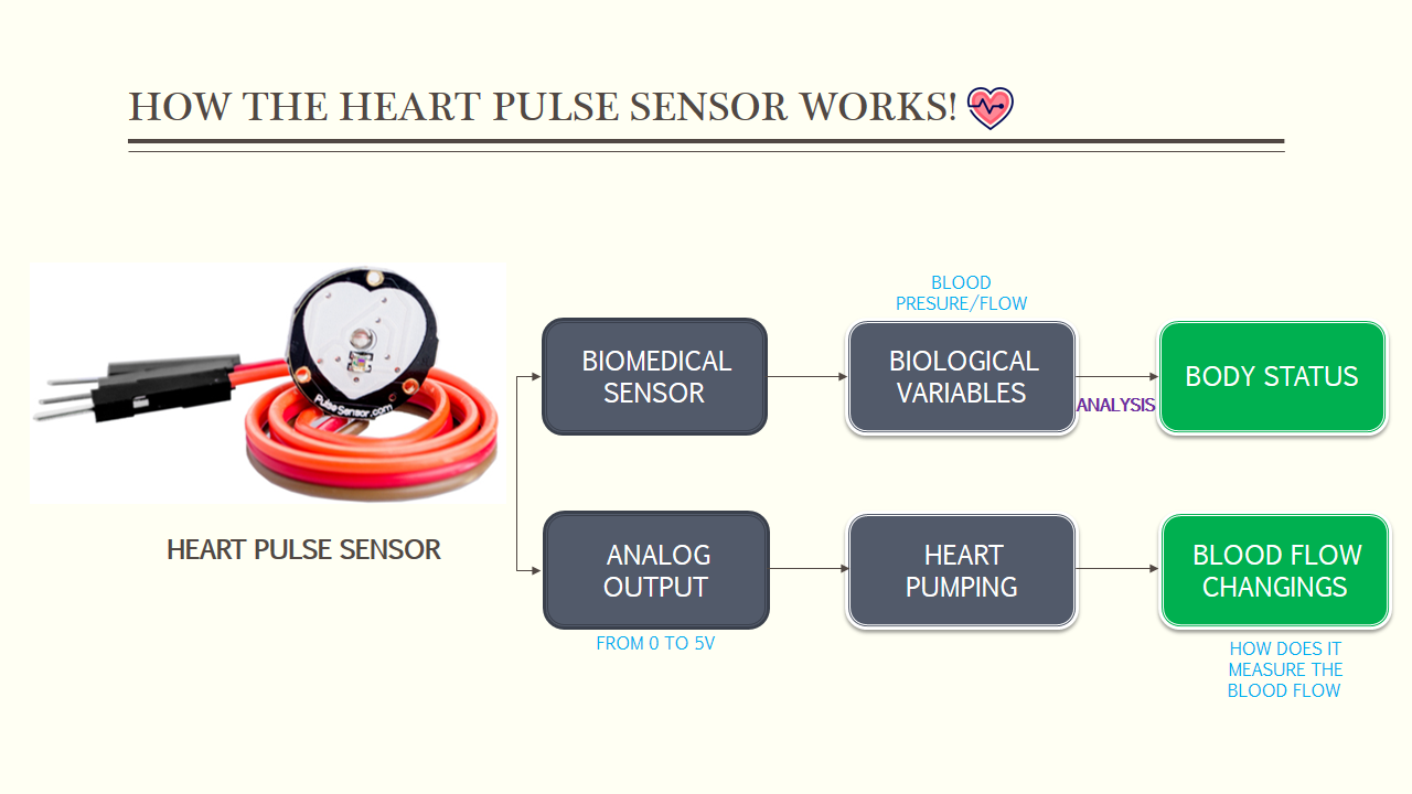 Arduino Heart Beat With ECG Display & Sound : 7 Steps - Instructables