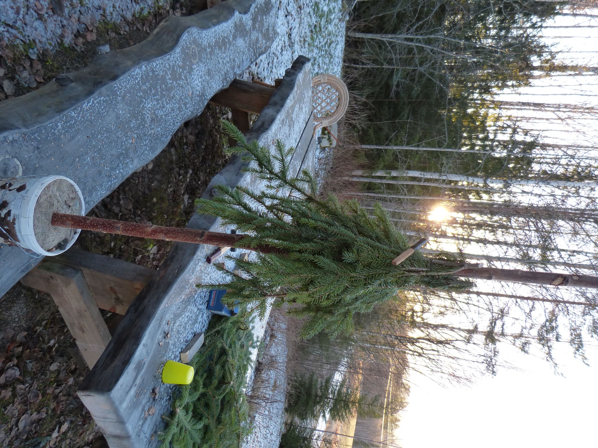 Easy Whimsical Christmas Trees From Branches : 9 Steps (with Pictures ...
